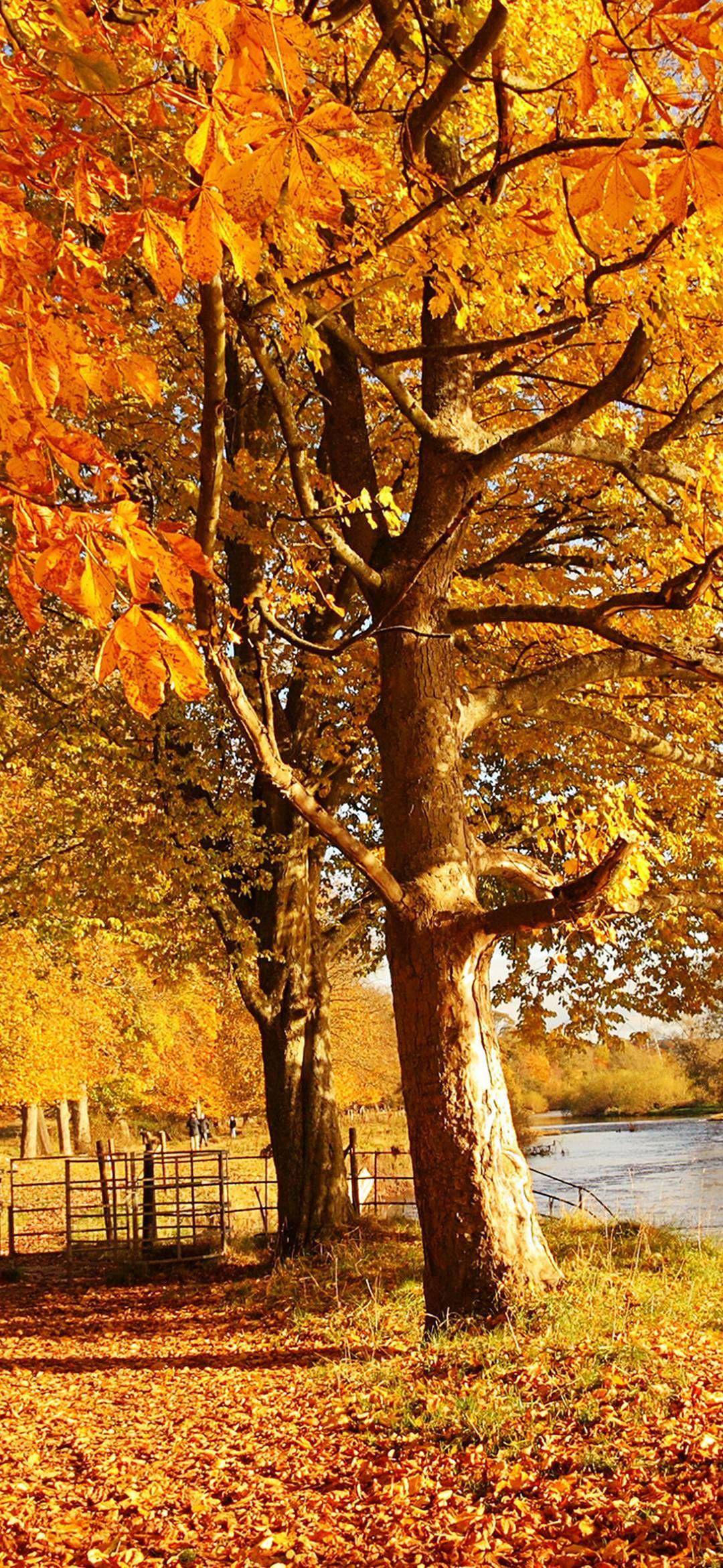 Scotland Autumn Wallpapers - Top Free Scotland Autumn Backgrounds ...