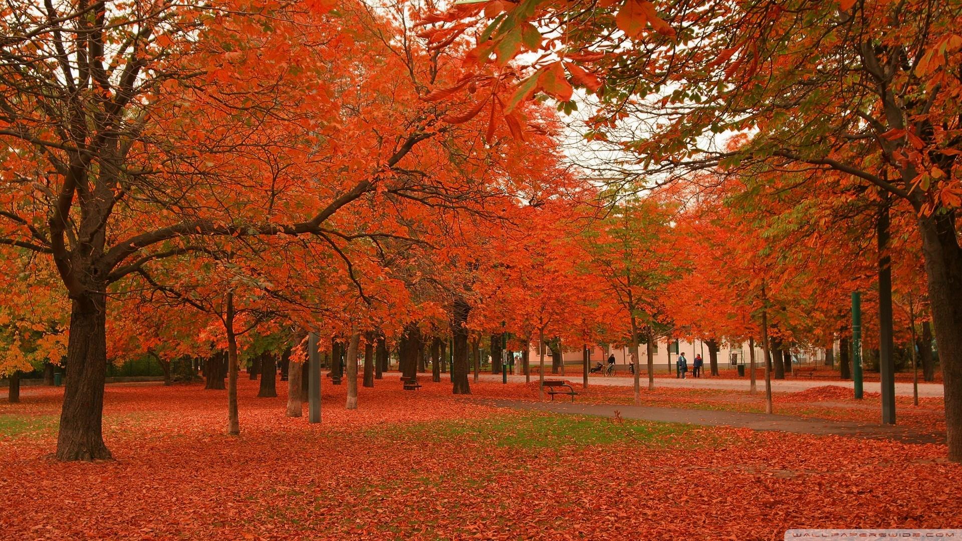 Scotland Autumn Wallpapers - Top Free Scotland Autumn Backgrounds ...