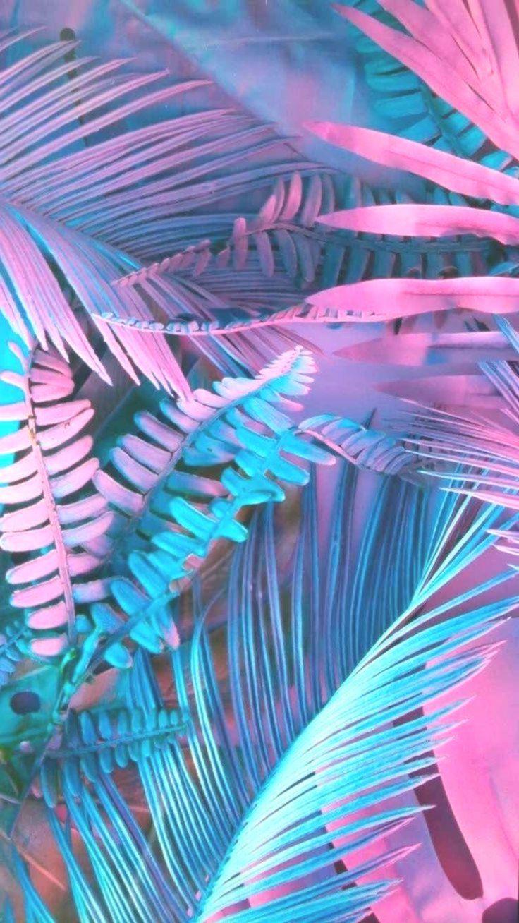 Gum Wallpapers - Top Free Gum Backgrounds - WallpaperAccess