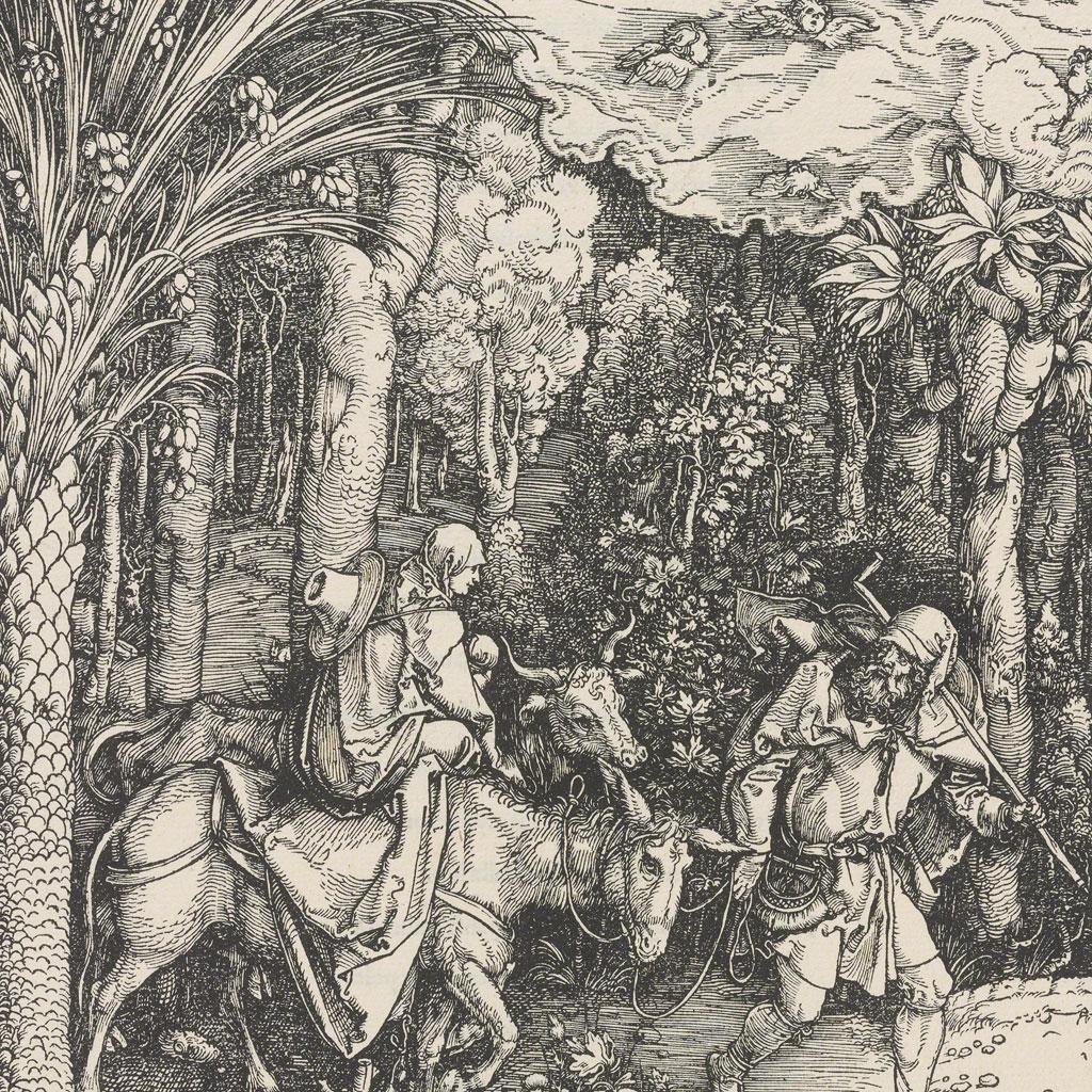 Dürer Wallpapers - Top Free Dürer Backgrounds - WallpaperAccess