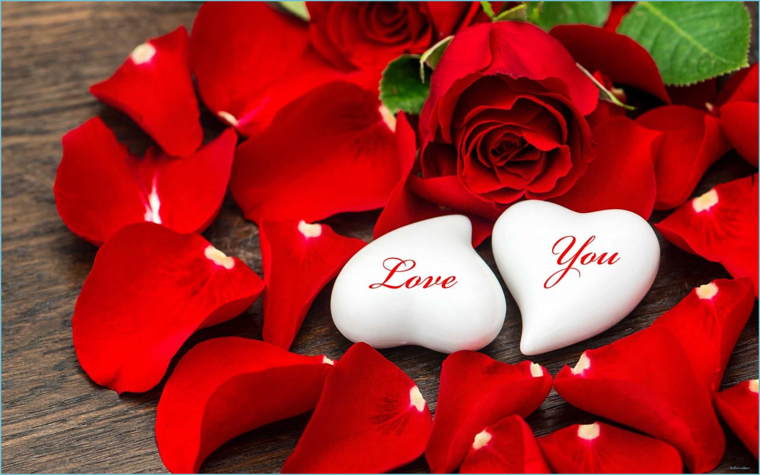 Beautiful Love Flowers Wallpapers - Top Free Beautiful Love Flowers ...