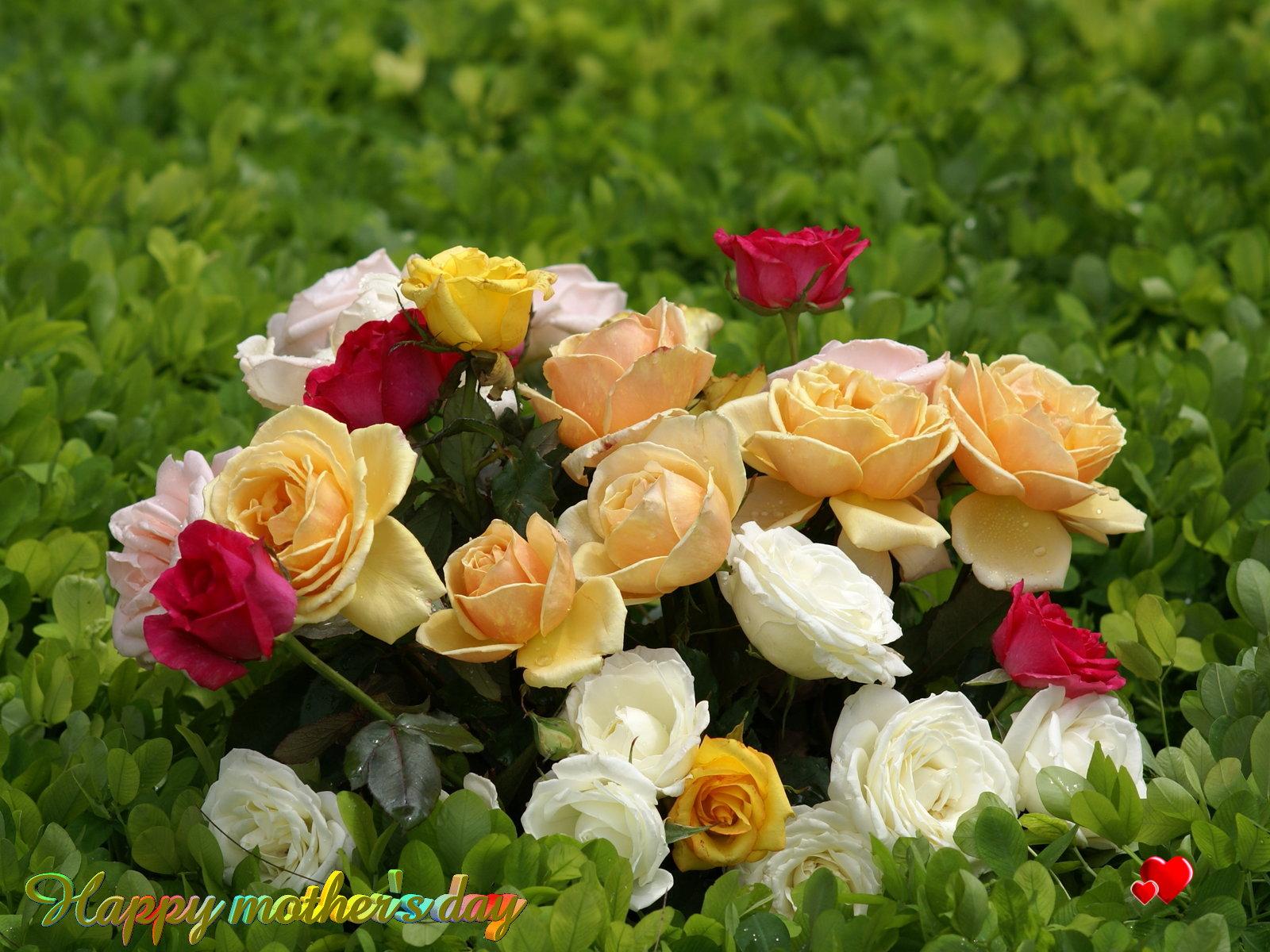 Beautiful Love Flowers Wallpapers - Top Free Beautiful Love Flowers ...