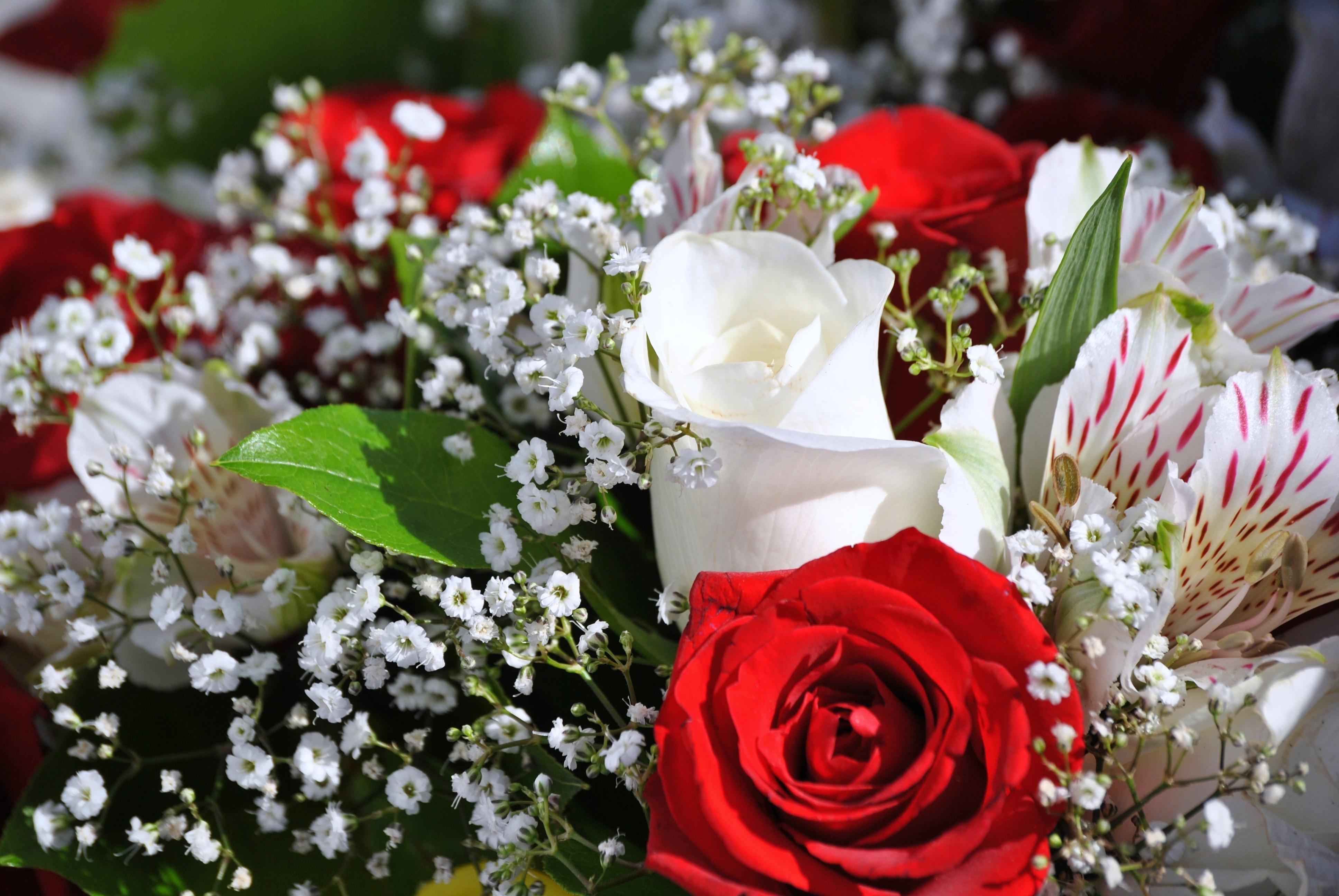 Beautiful Love Flowers Wallpapers - Top Free Beautiful Love Flowers ...