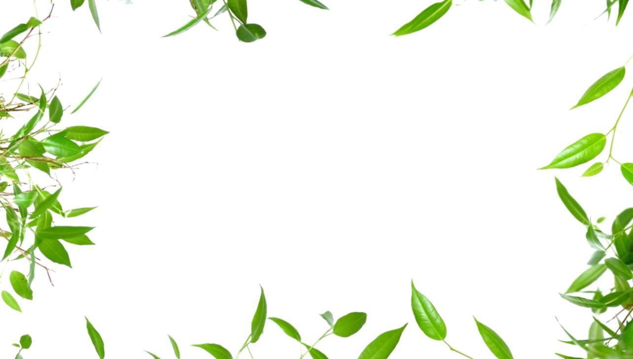 Borders Wallpapers - Top Free Borders Backgrounds - WallpaperAccess