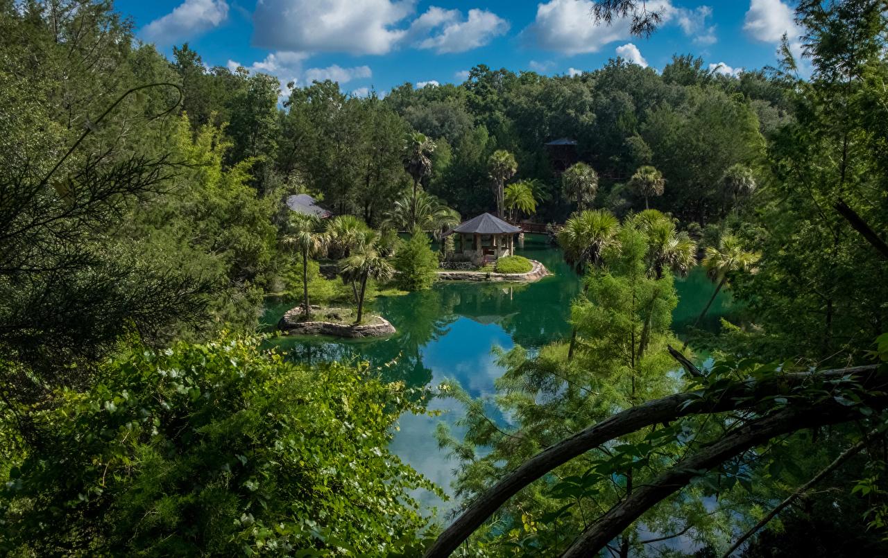 Florida Landscape Wallpapers - Top Free Florida Landscape Backgrounds ...