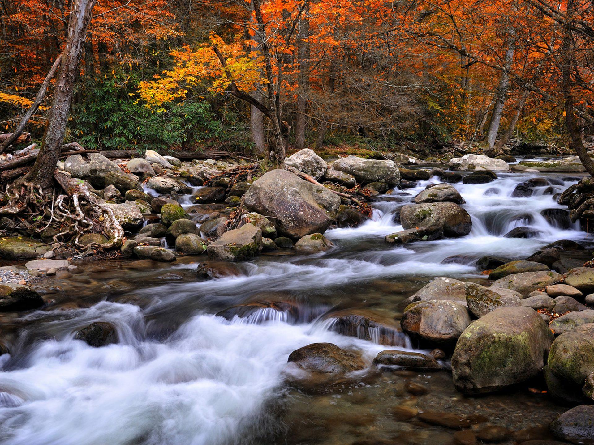 Smoky Mountains Wallpapers - Top Free Smoky Mountains Backgrounds ...