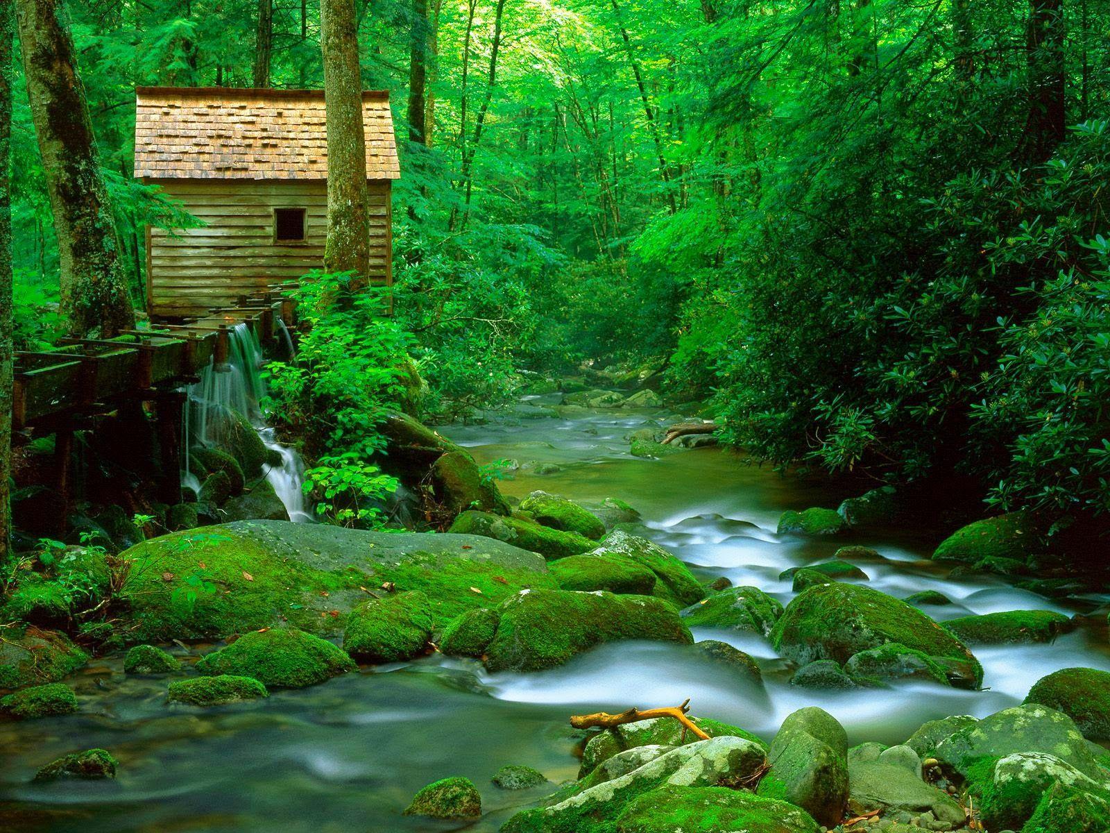 Smoky Mountains Wallpapers - Top Free Smoky Mountains Backgrounds ...