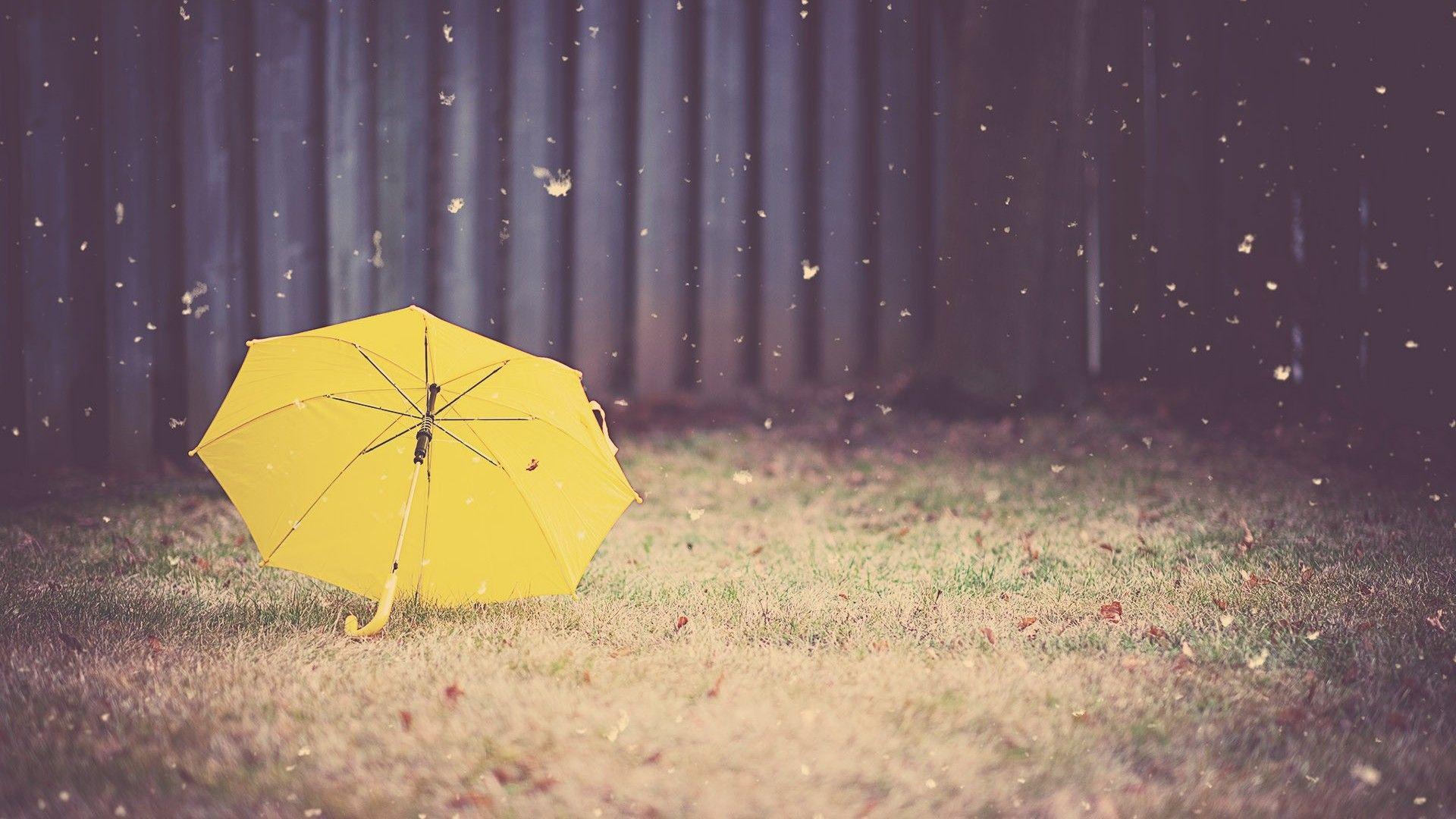 Spring Rain Umbrella Wallpapers - Top Free Spring Rain Umbrella ...