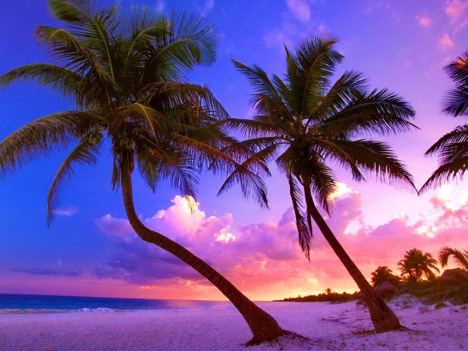 Mexico Beach Sunset Wallpapers - Top Free Mexico Beach Sunset ...