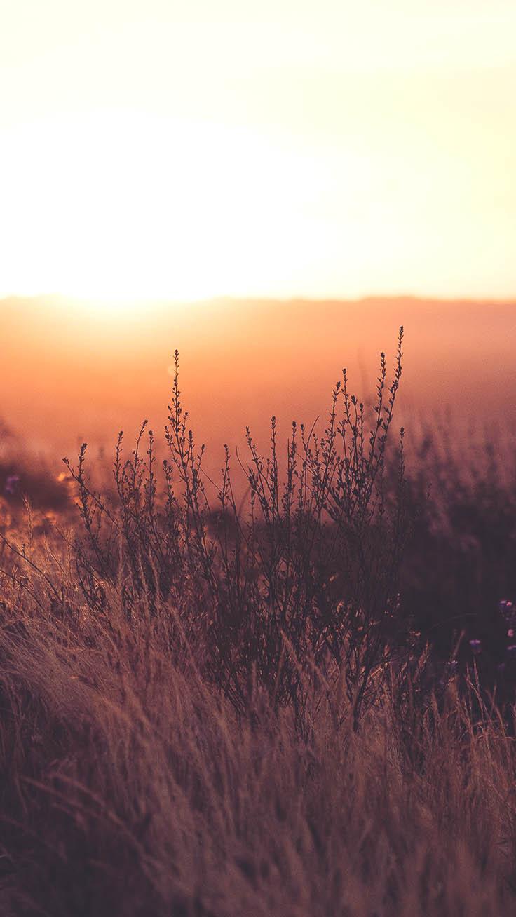 Cute Relaxing Wallpapers - Top Free Cute Relaxing Backgrounds ...