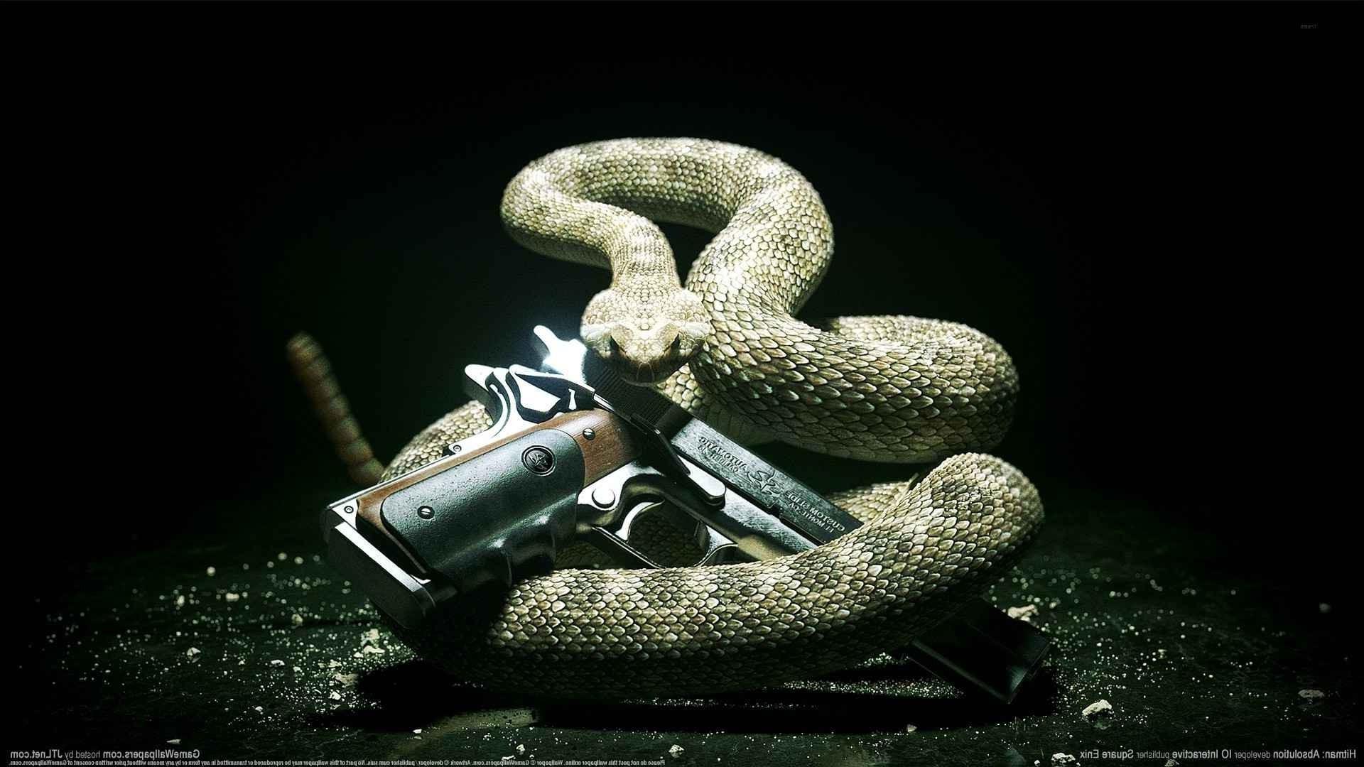 Snake PC Wallpapers - Top Free Snake PC Backgrounds - WallpaperAccess