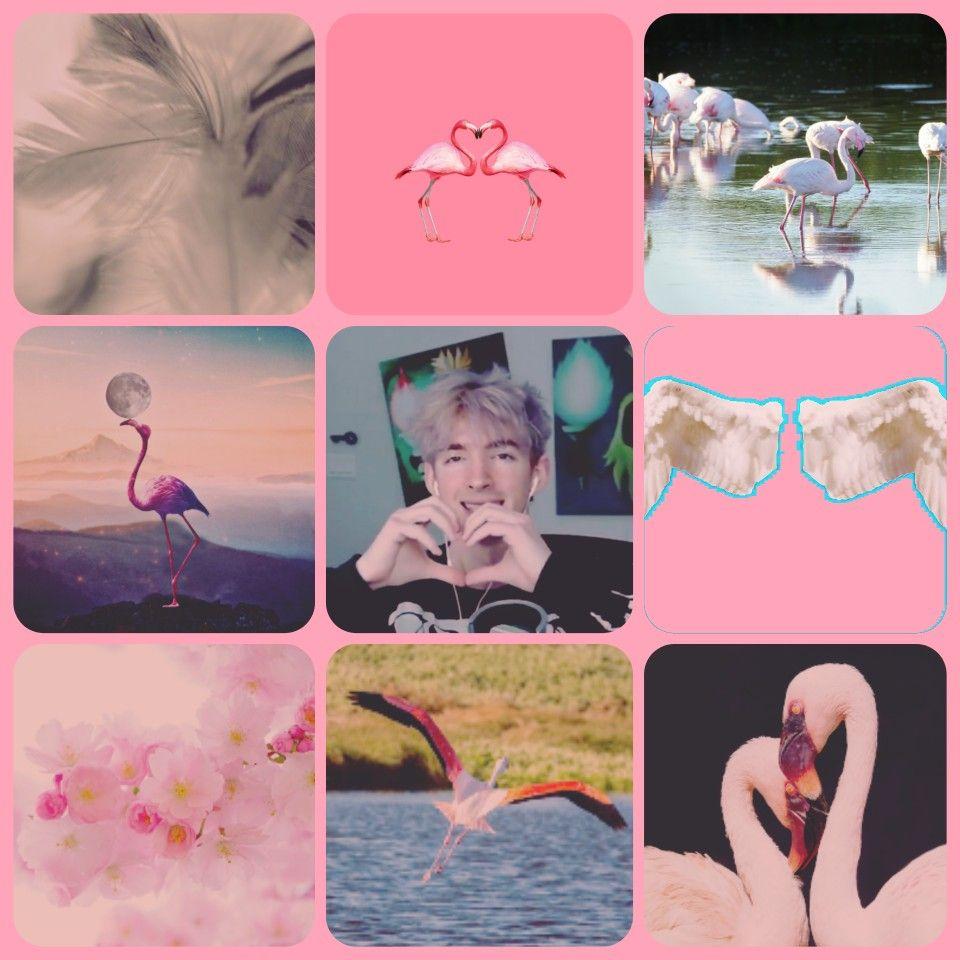 AlbertsStuff Wallpapers - Top Free AlbertsStuff Backgrounds ...