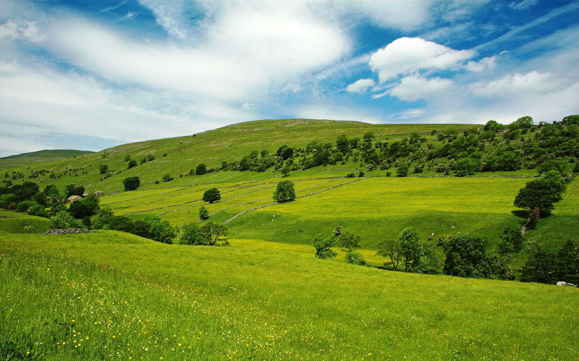 Grassland HD Wallpapers - Top Free Grassland HD Backgrounds ...