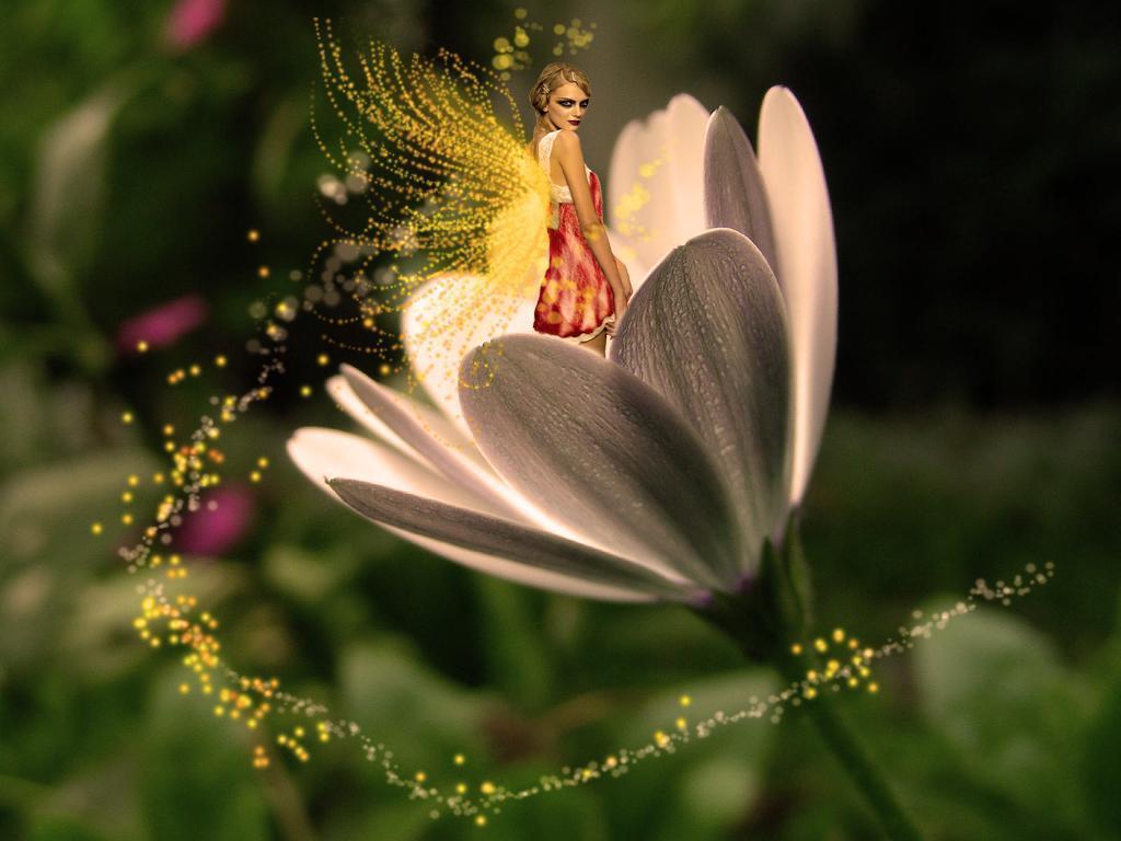 Angel Flower Wallpapers - Top Free Angel Flower Backgrounds ...