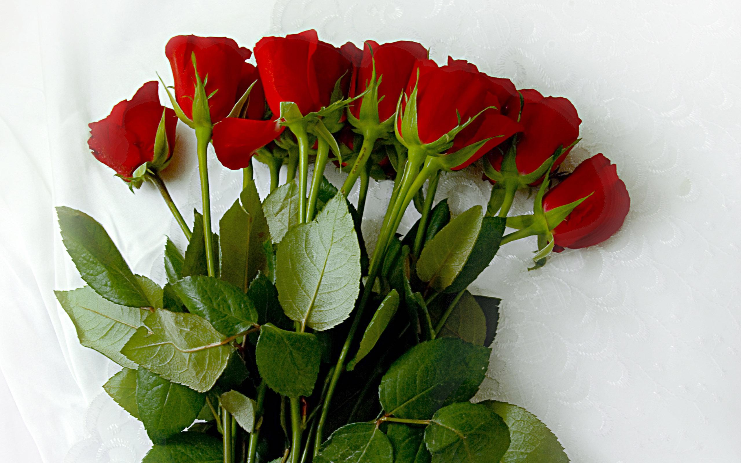 Angel Flower Wallpapers - Top Free Angel Flower Backgrounds ...