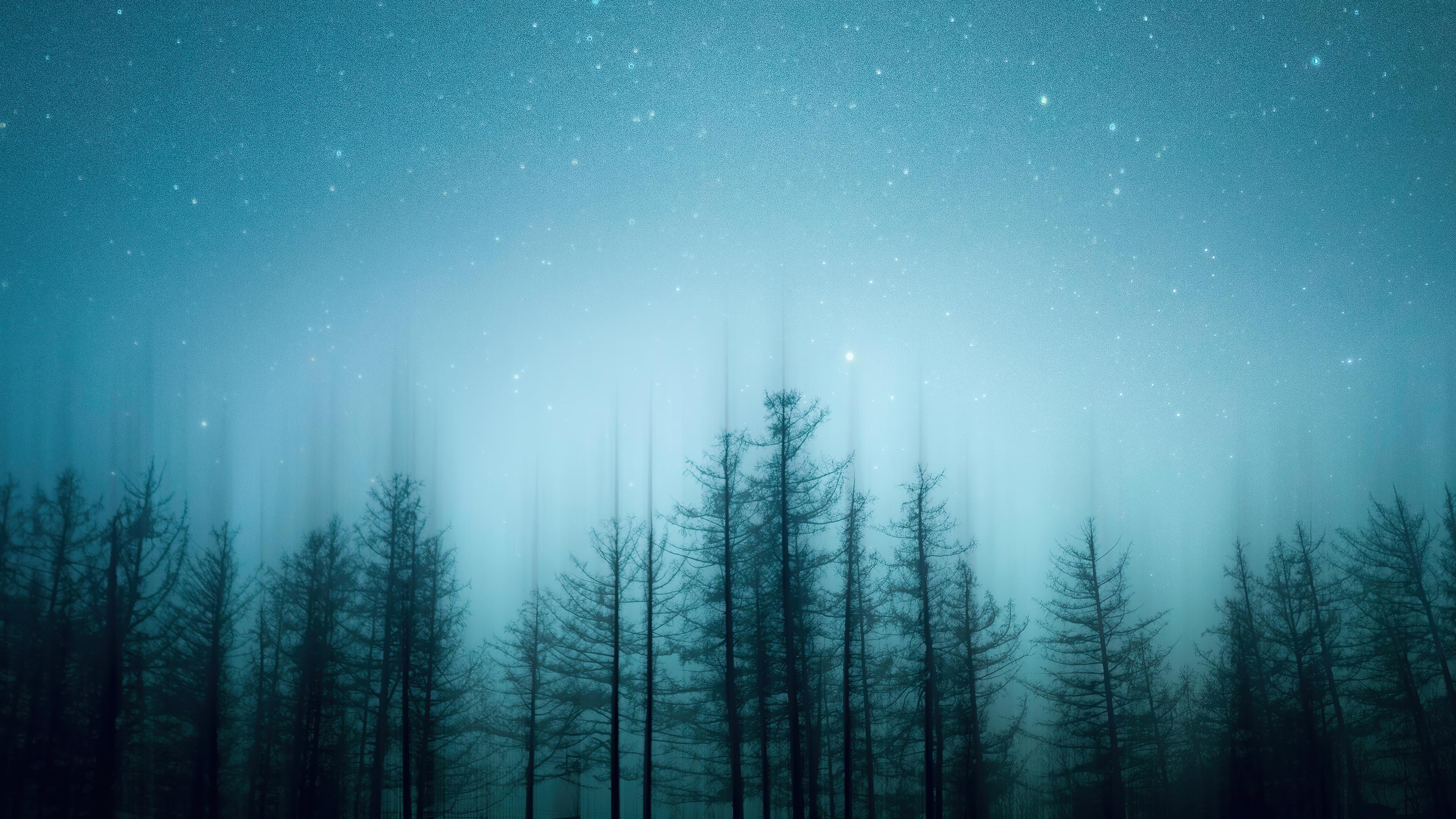 Blue Forest 4K Wallpapers - Top Free Blue Forest 4K Backgrounds ...