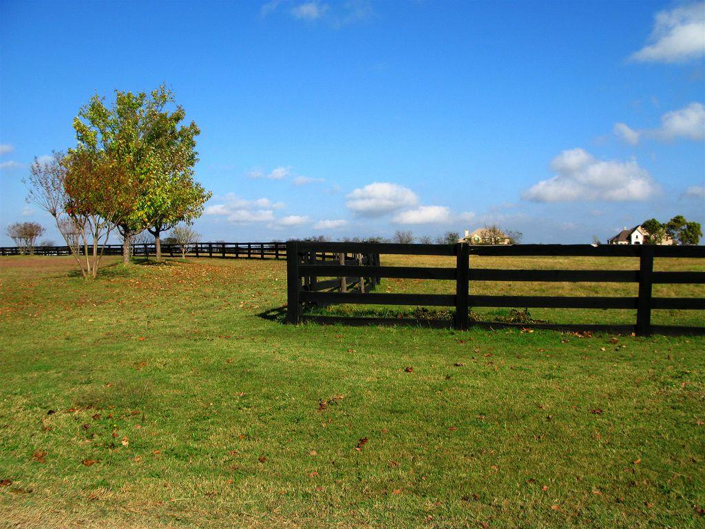 Cattle Ranch Wallpapers - Top Free Cattle Ranch Backgrounds ...