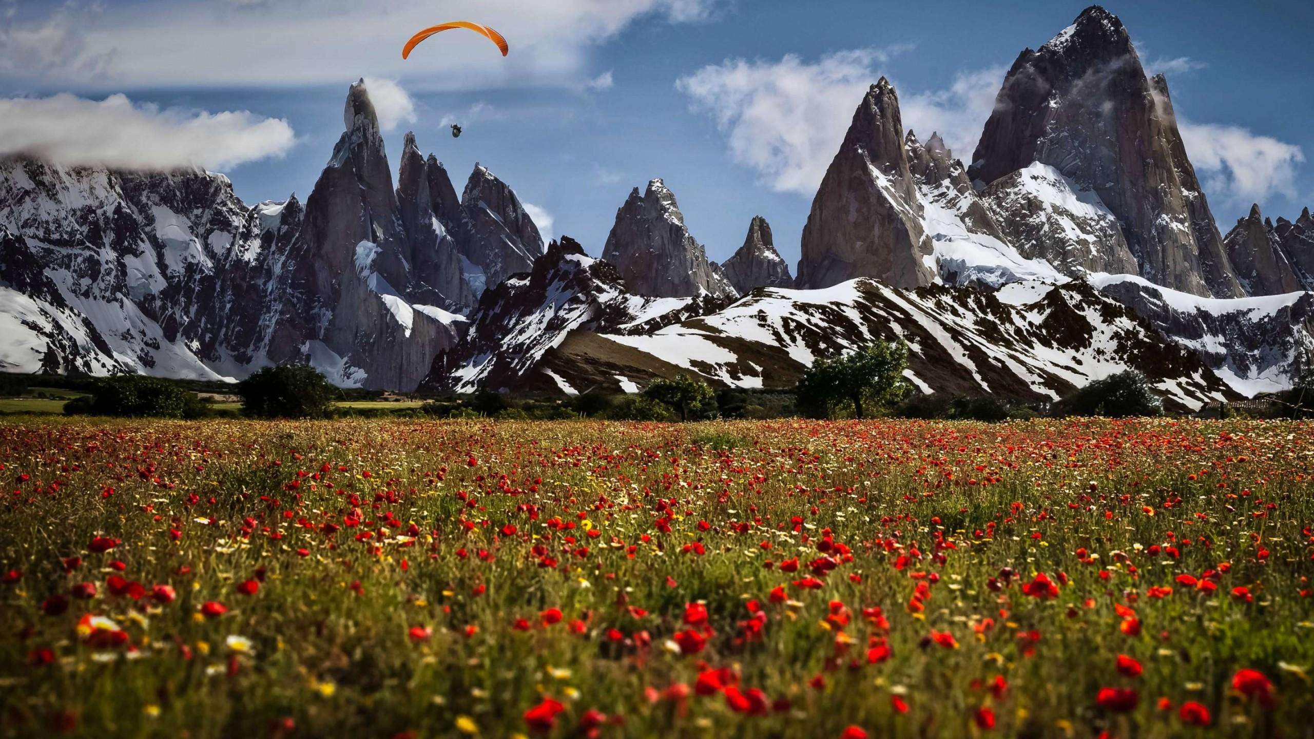 2560X1440 Spring Wallpapers - Top Free 2560X1440 Spring Backgrounds ...