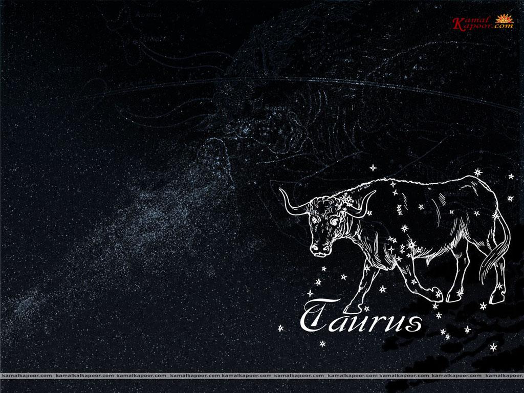 Cute Taurus Wallpapers - Top Free Cute Taurus Backgrounds - WallpaperAccess