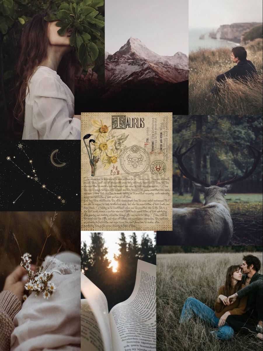 Cute Taurus Wallpapers - Top Free Cute Taurus Backgrounds - WallpaperAccess