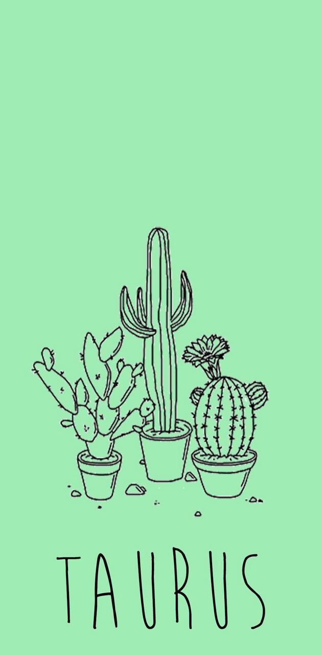 Cute Taurus Wallpapers - Top Free Cute Taurus Backgrounds - WallpaperAccess