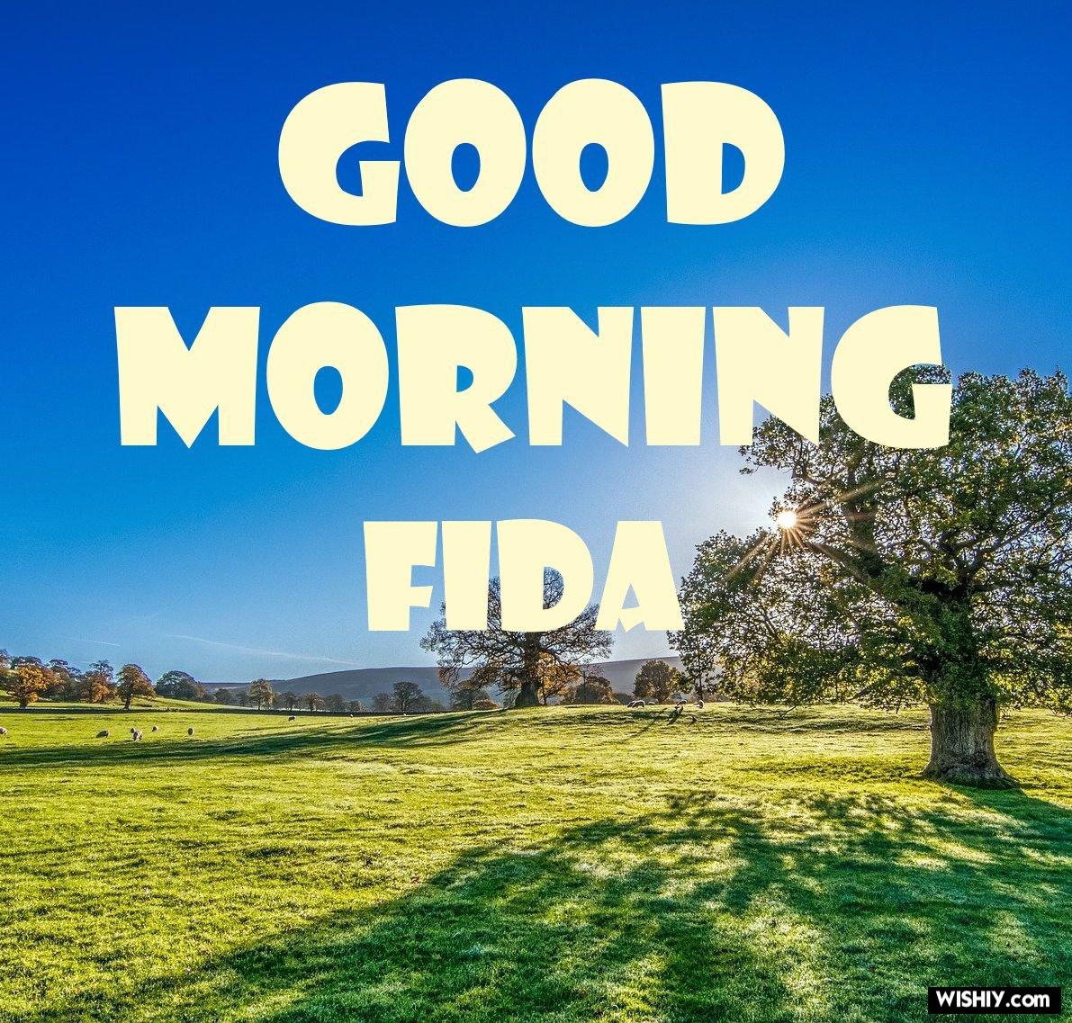 Fida Wallpapers - Top Free Fida Backgrounds - WallpaperAccess