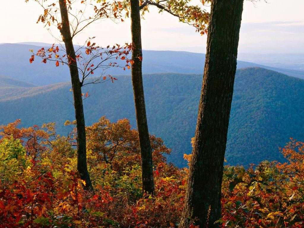 Blue Ridge Mountains Virginia Wallpapers - Top Free Blue Ridge ...