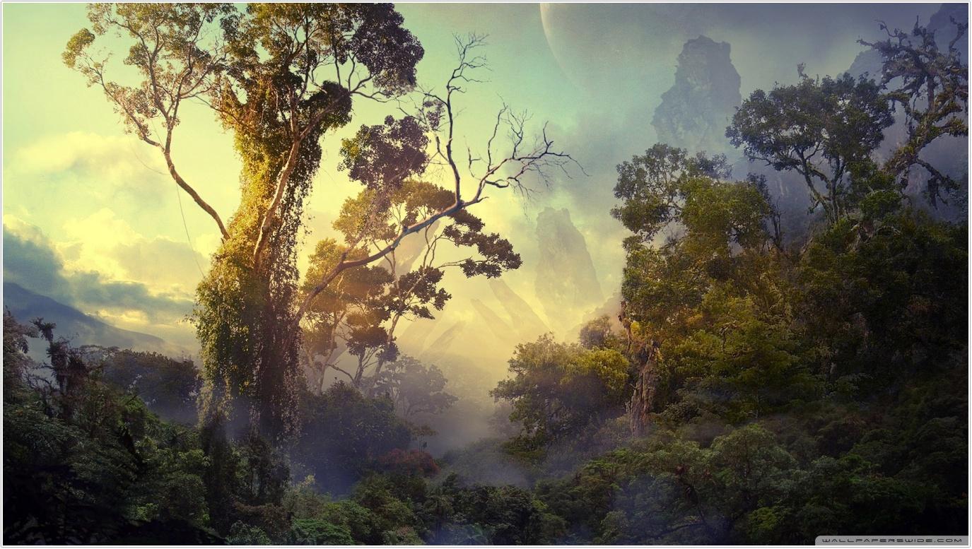 Beautiful Jungle Wallpapers - Top Free Beautiful Jungle Backgrounds ...