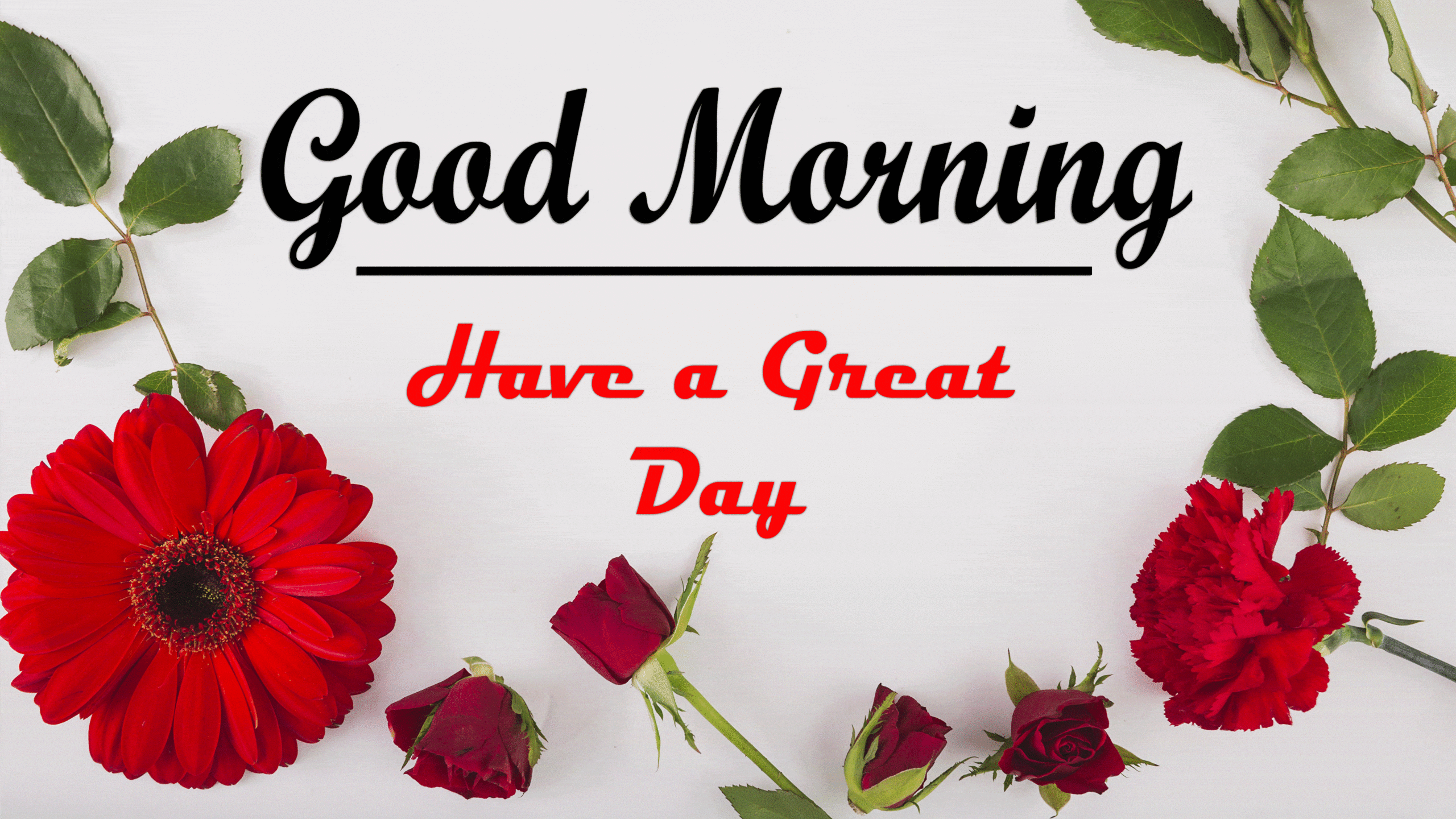 Good Morning HD Wallpapers - Top Free Good Morning HD Backgrounds ...