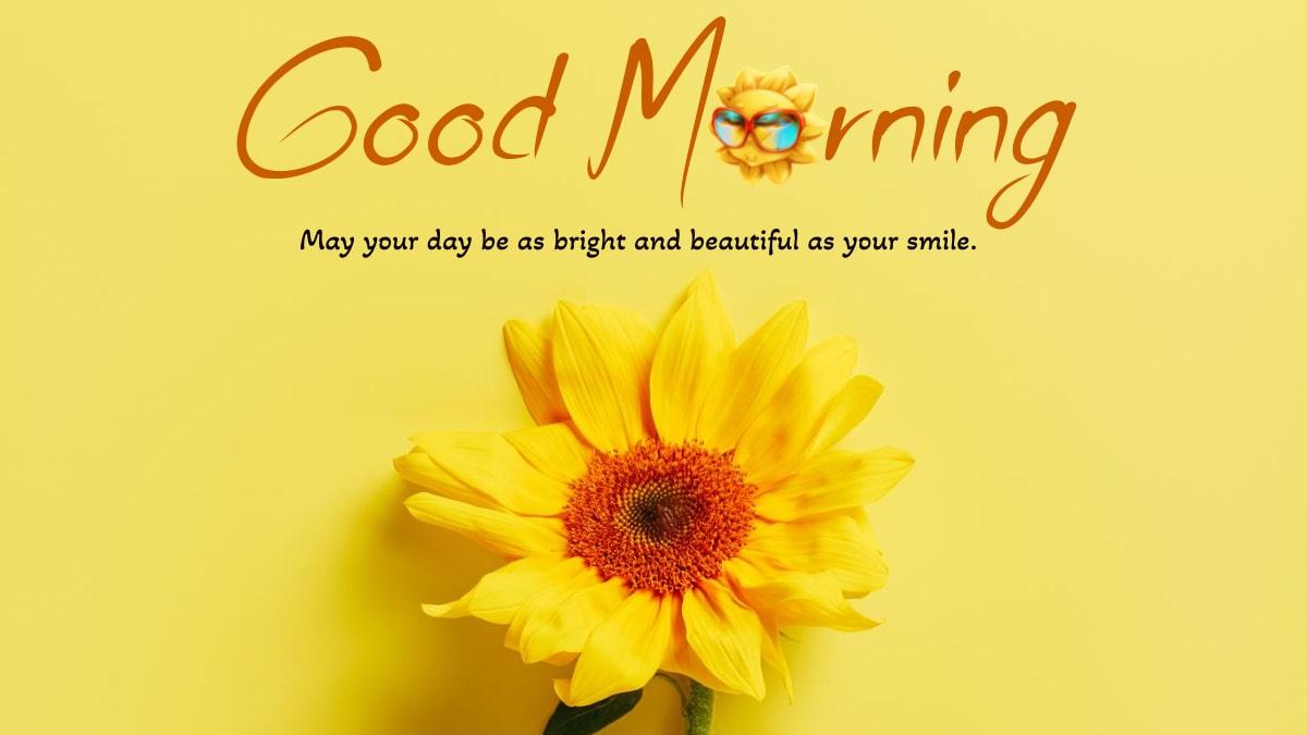 Good Morning HD Wallpapers - Top Free Good Morning HD Backgrounds ...