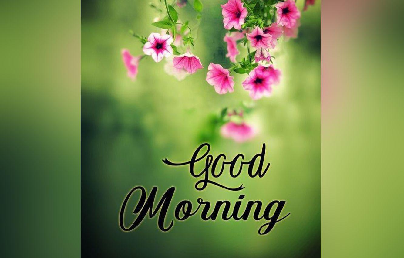 Good Morning HD Wallpapers - Top Free Good Morning HD Backgrounds ...