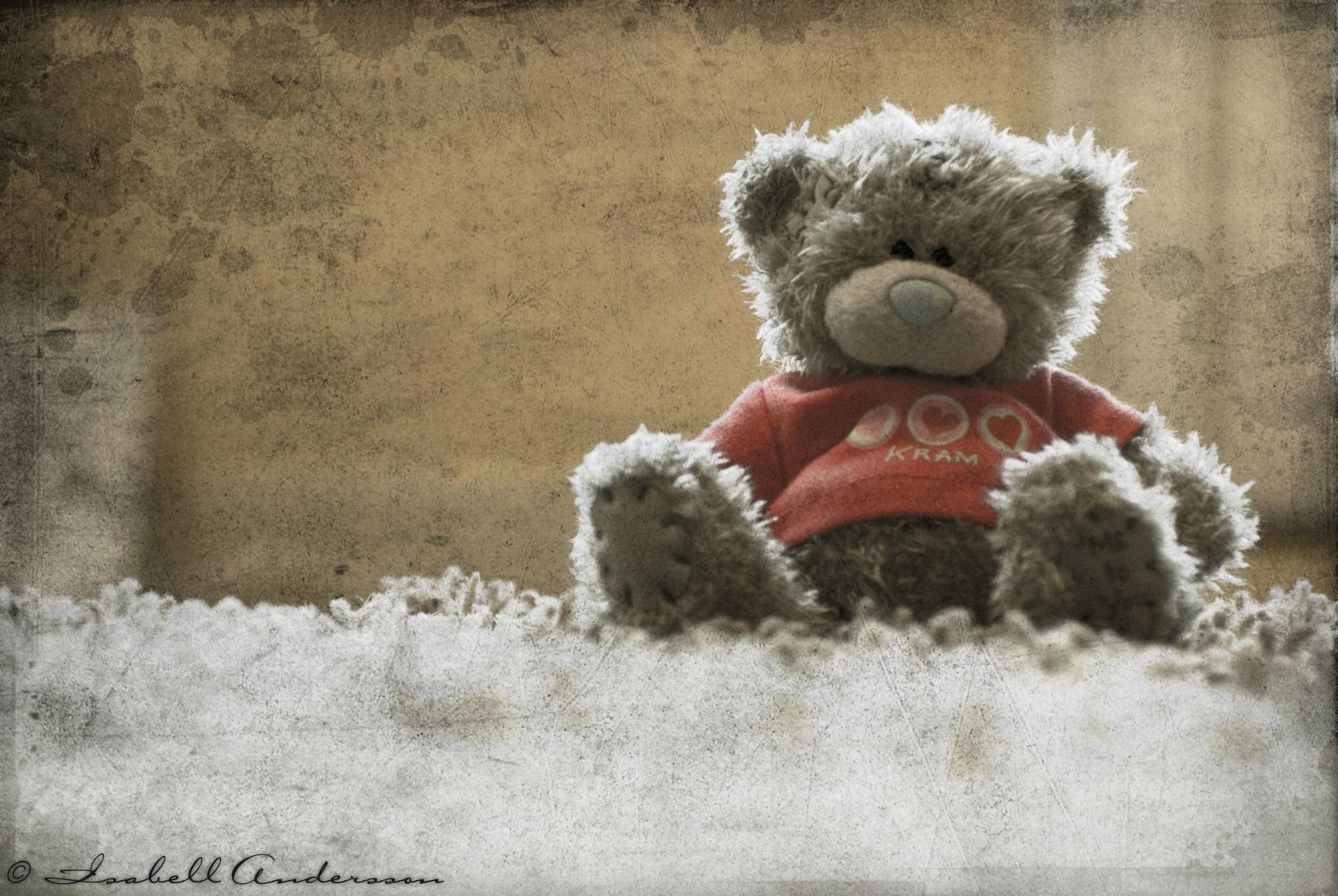 Winter Teddy Bears Wallpapers - Top Free Winter Teddy Bears Backgrounds ...