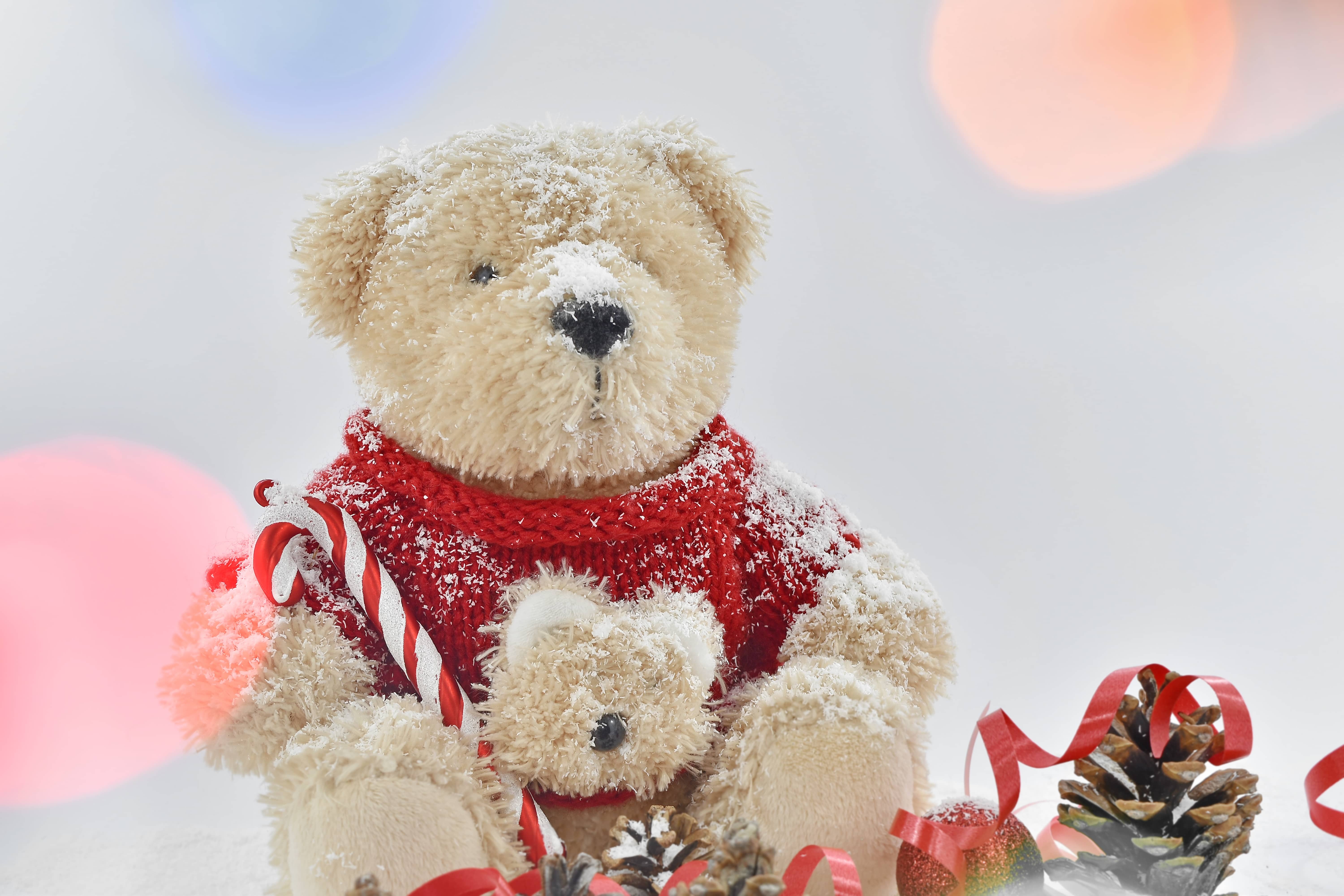 Winter Teddy Bears Wallpapers - Top Free Winter Teddy Bears Backgrounds ...