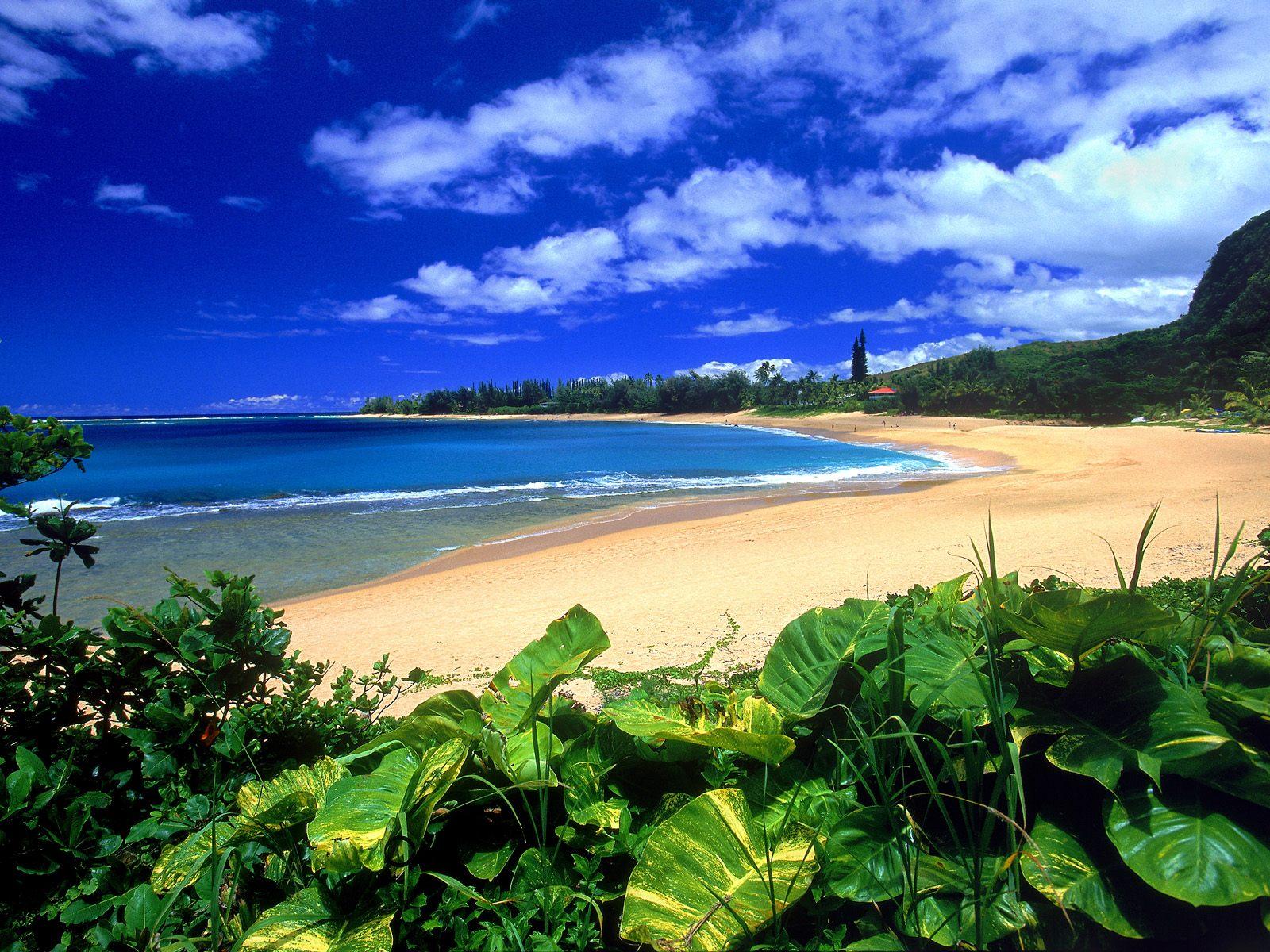 Hawaii Beaches Wallpapers - Top Free Hawaii Beaches Backgrounds ...