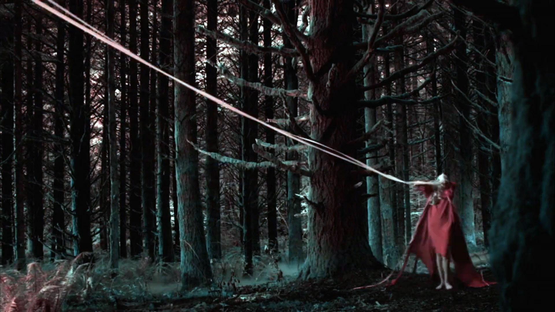 American Horror Story Coven Wallpapers - Top Free American Horror Story ...