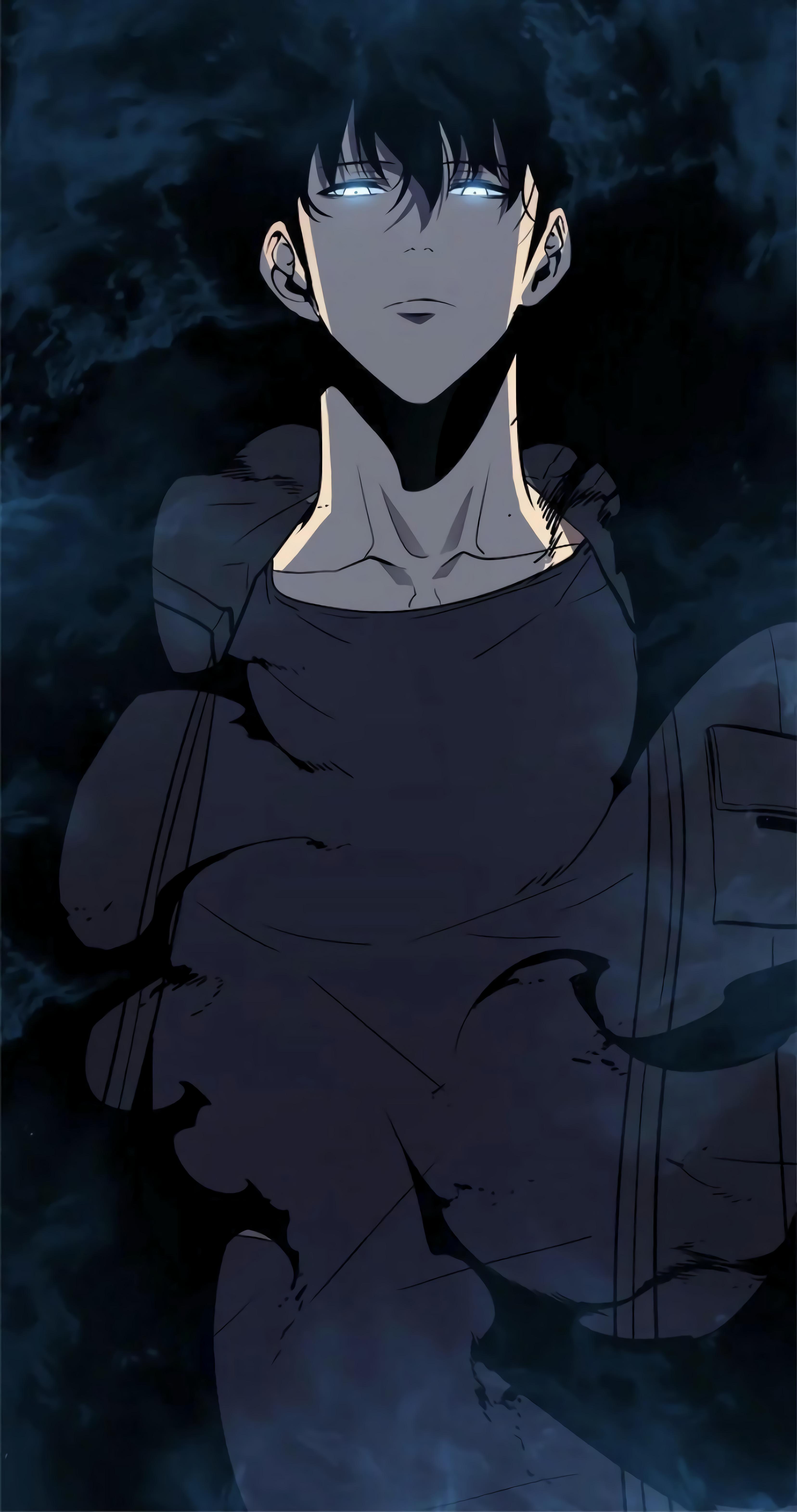 Solo Leveling Phone Wallpapers - Top Free Solo Leveling Phone ...