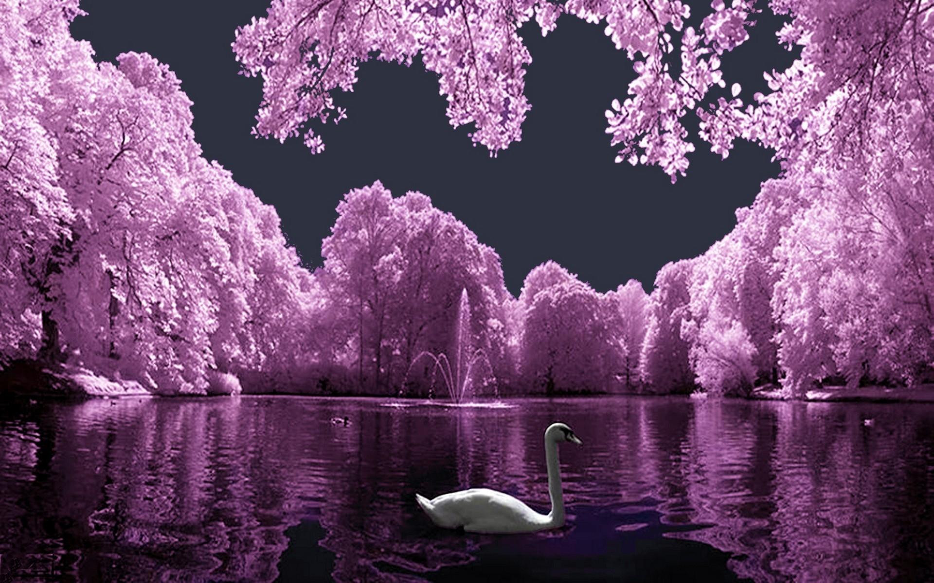 Purple Animal Wallpapers - Top Free Purple Animal Backgrounds ...