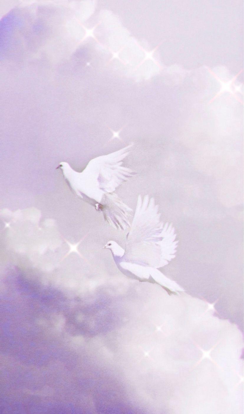 Dove iPhone Wallpapers - Top Free Dove iPhone Backgrounds - WallpaperAccess