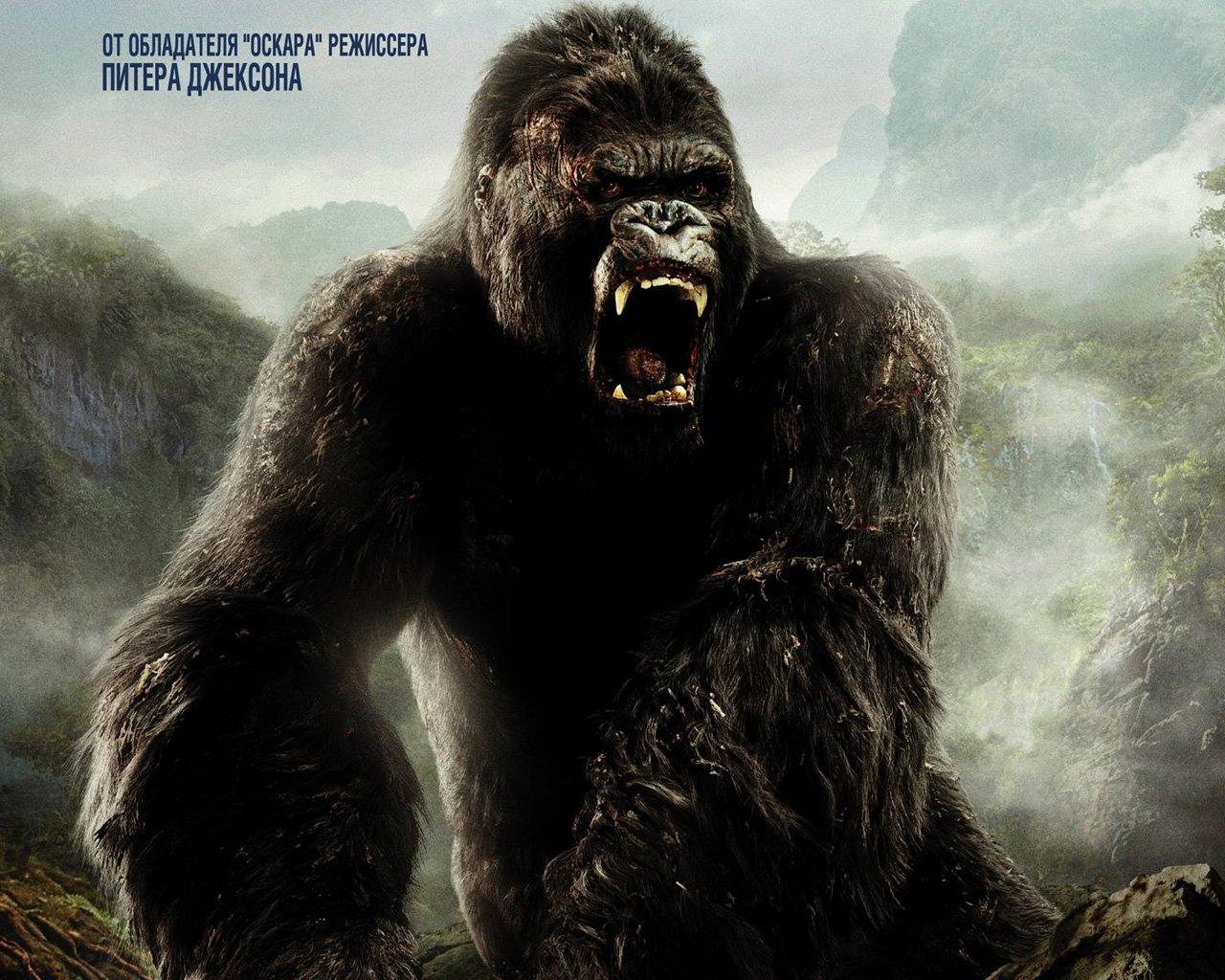 3D King Kong Wallpapers - Top Free 3D King Kong Backgrounds ...