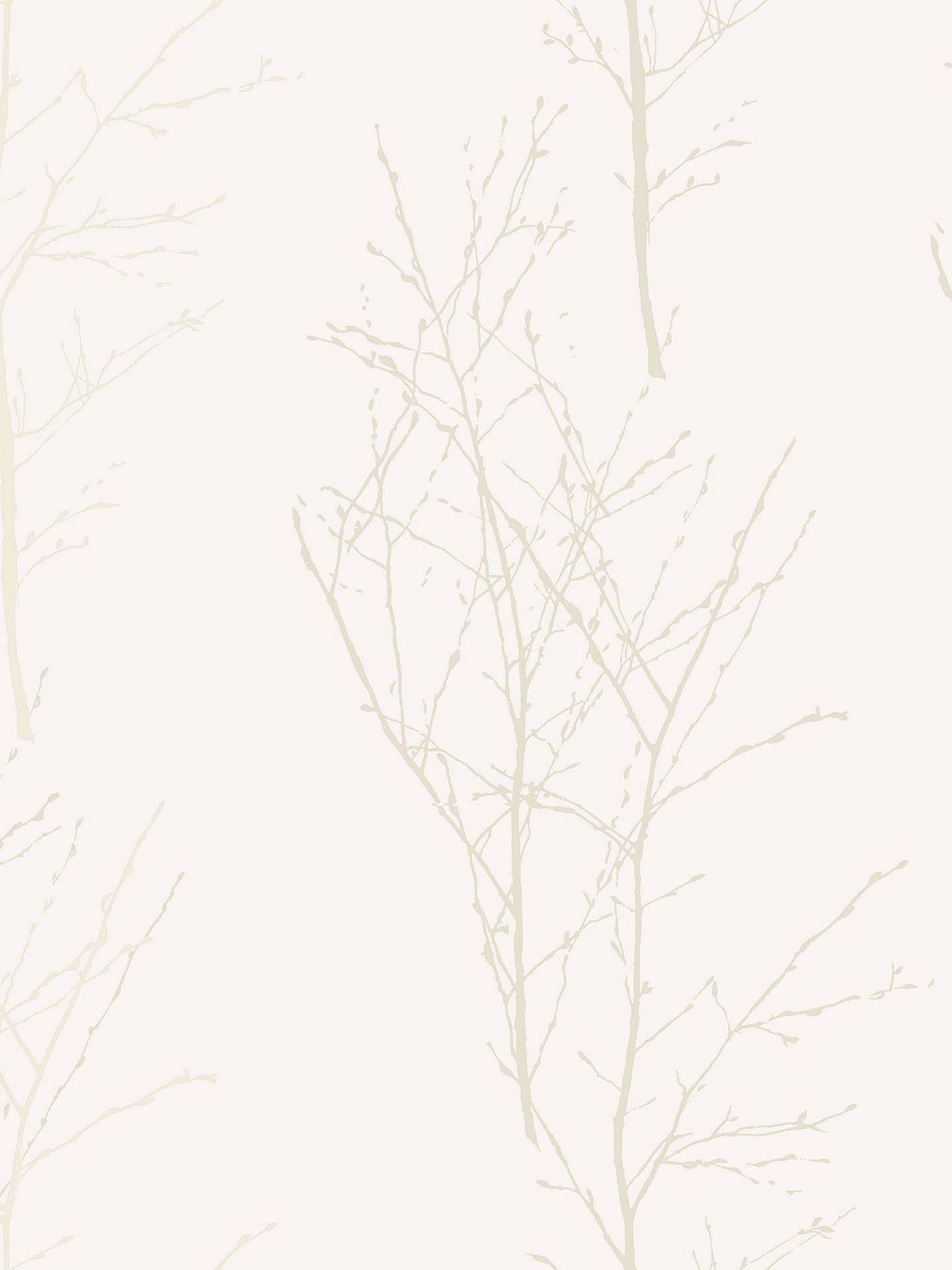 White Plant Wallpapers - Top Free White Plant Backgrounds - WallpaperAccess