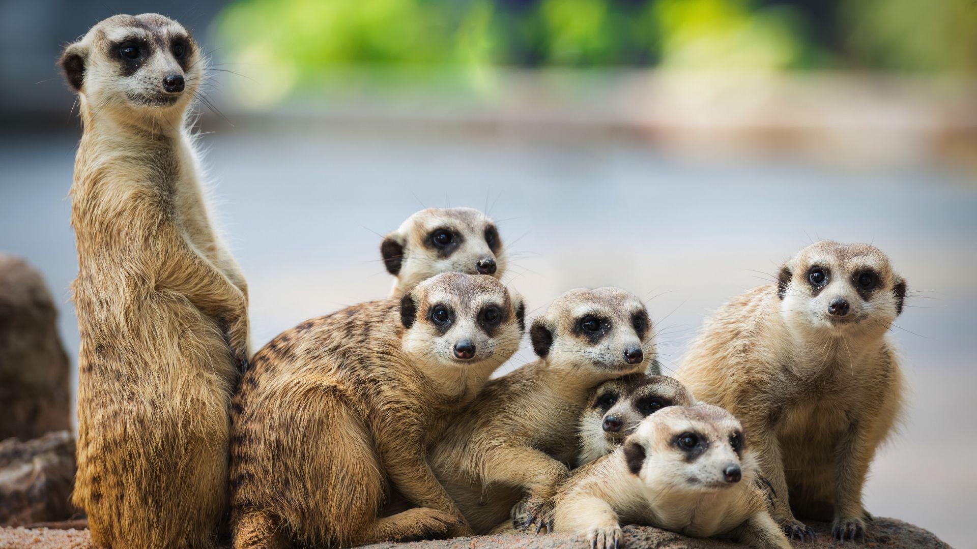 Family 4K Wallpapers - Top Free Family 4K Backgrounds - WallpaperAccess