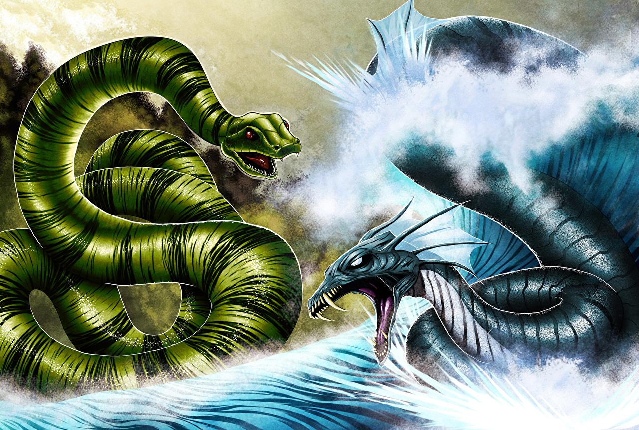 Snake Dragon Wallpapers - Top Free Snake Dragon Backgrounds ...