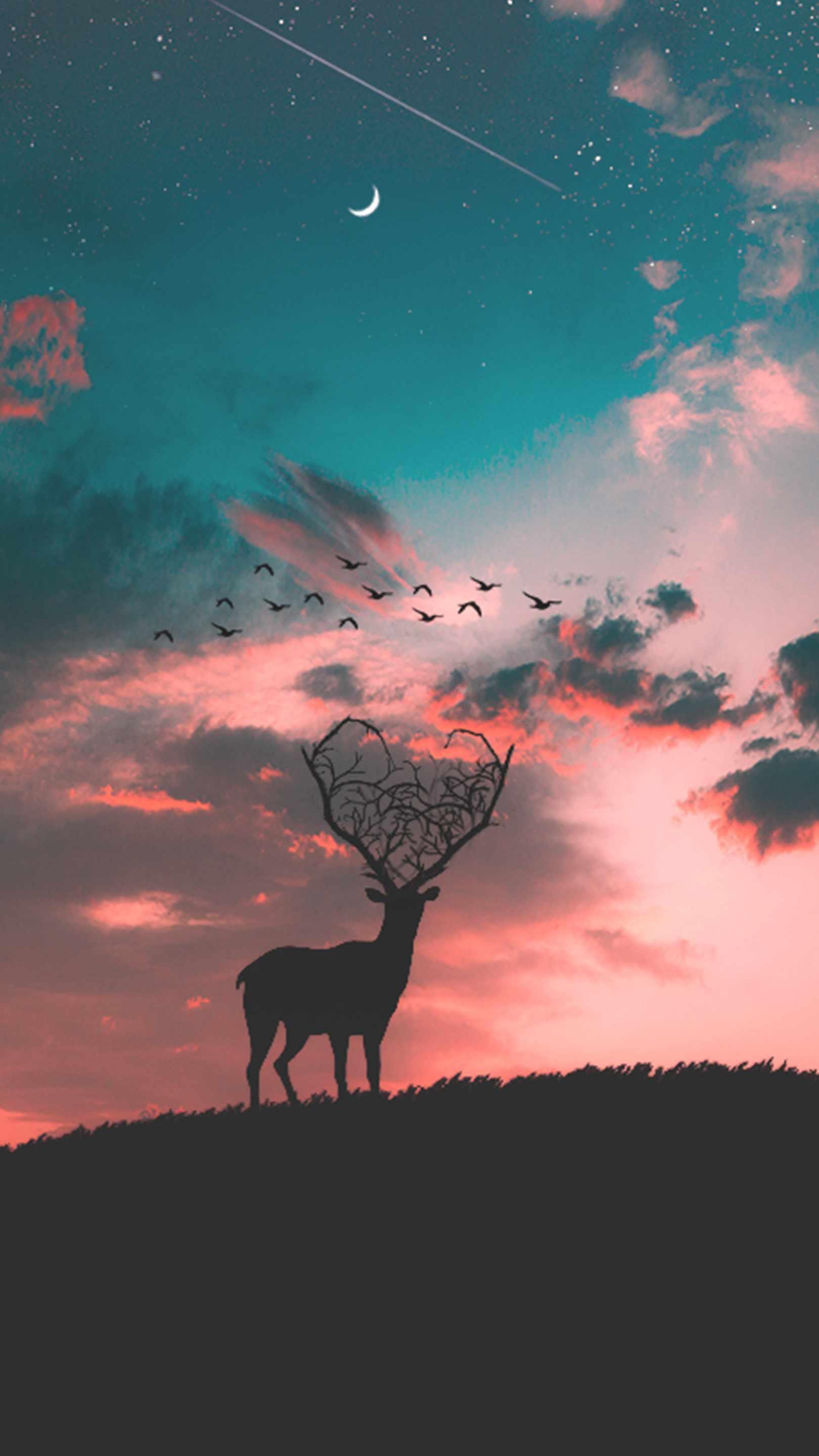 Deer Sunset Wallpapers - Top Free Deer Sunset Backgrounds - WallpaperAccess