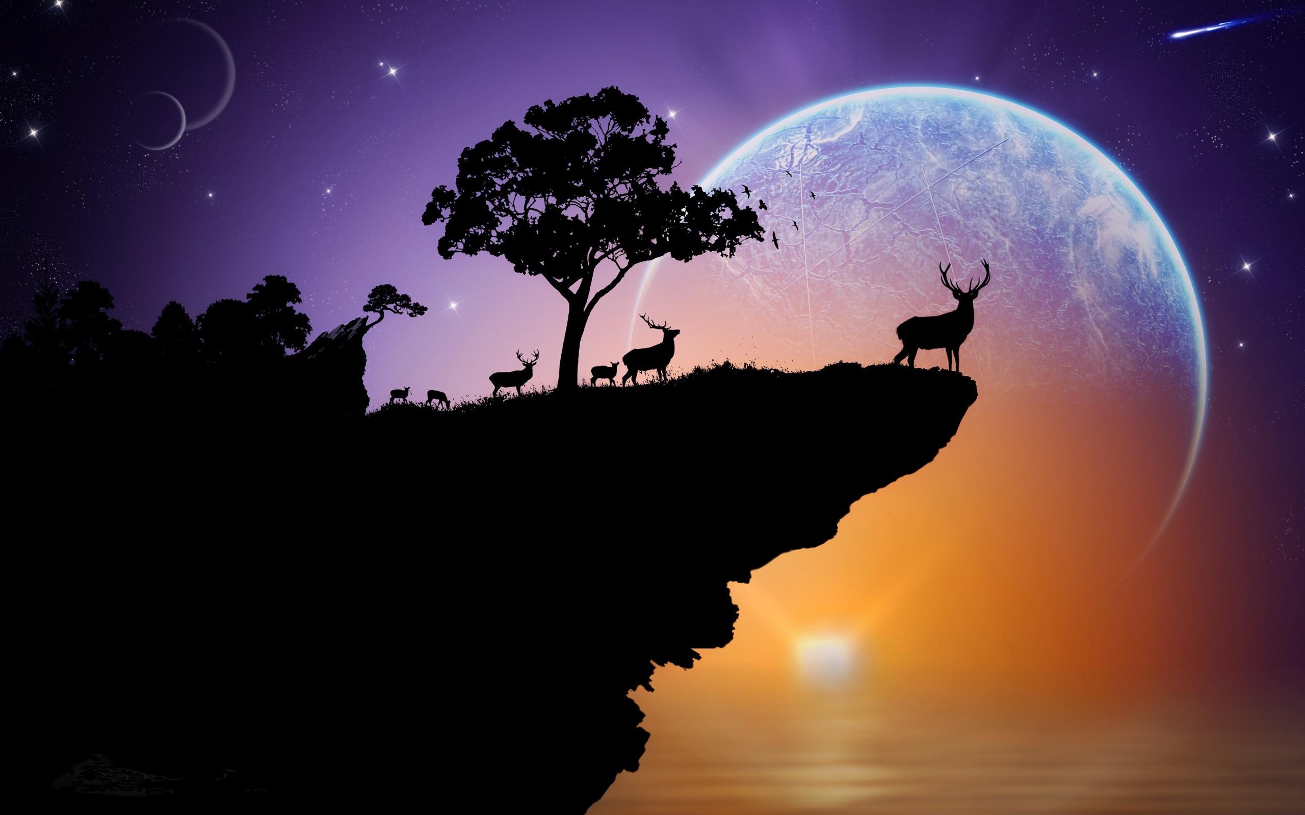 Deer Sunset Wallpapers - Top Free Deer Sunset Backgrounds - WallpaperAccess