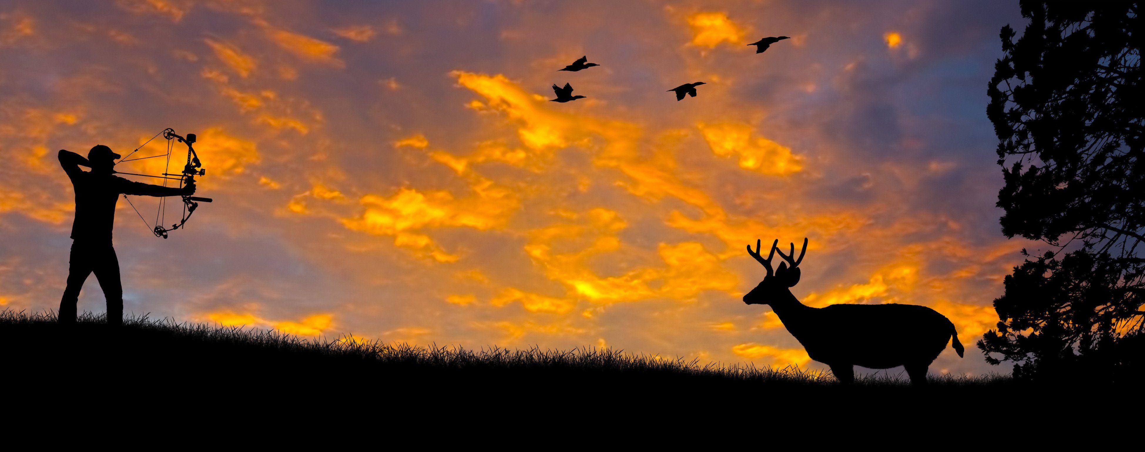 Deer Sunset Wallpapers - Top Free Deer Sunset Backgrounds - WallpaperAccess