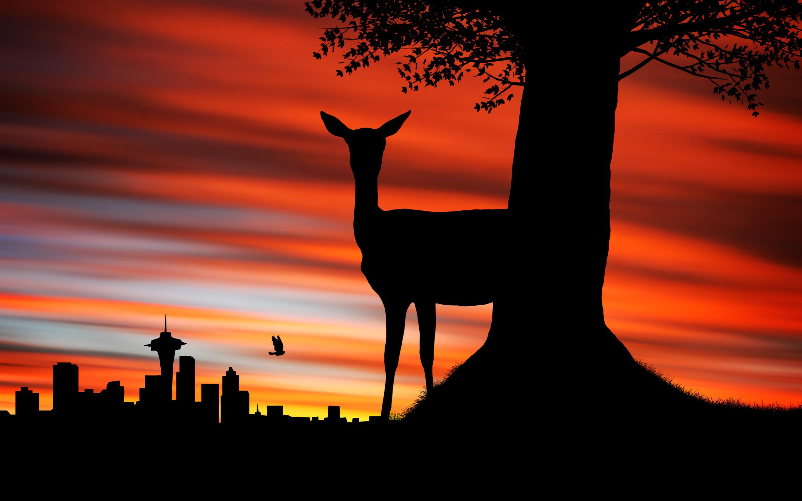 Deer Sunset Wallpapers - Top Free Deer Sunset Backgrounds - WallpaperAccess