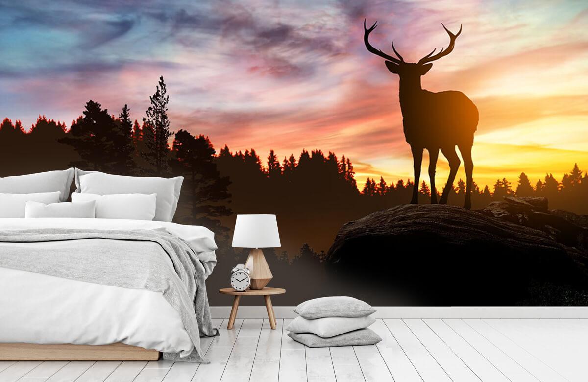 Deer Sunset Wallpapers - Top Free Deer Sunset Backgrounds - WallpaperAccess