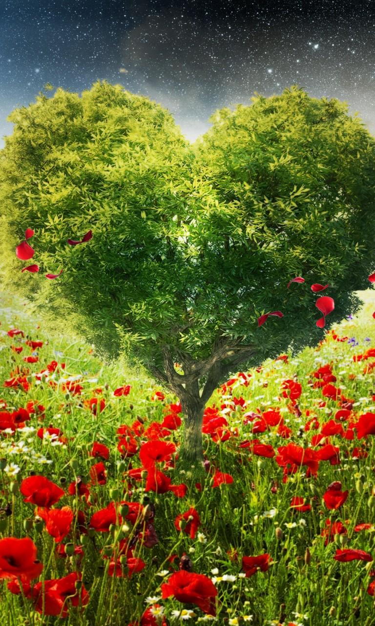 Green Heart Wallpapers - Top Free Green Heart Backgrounds - WallpaperAccess