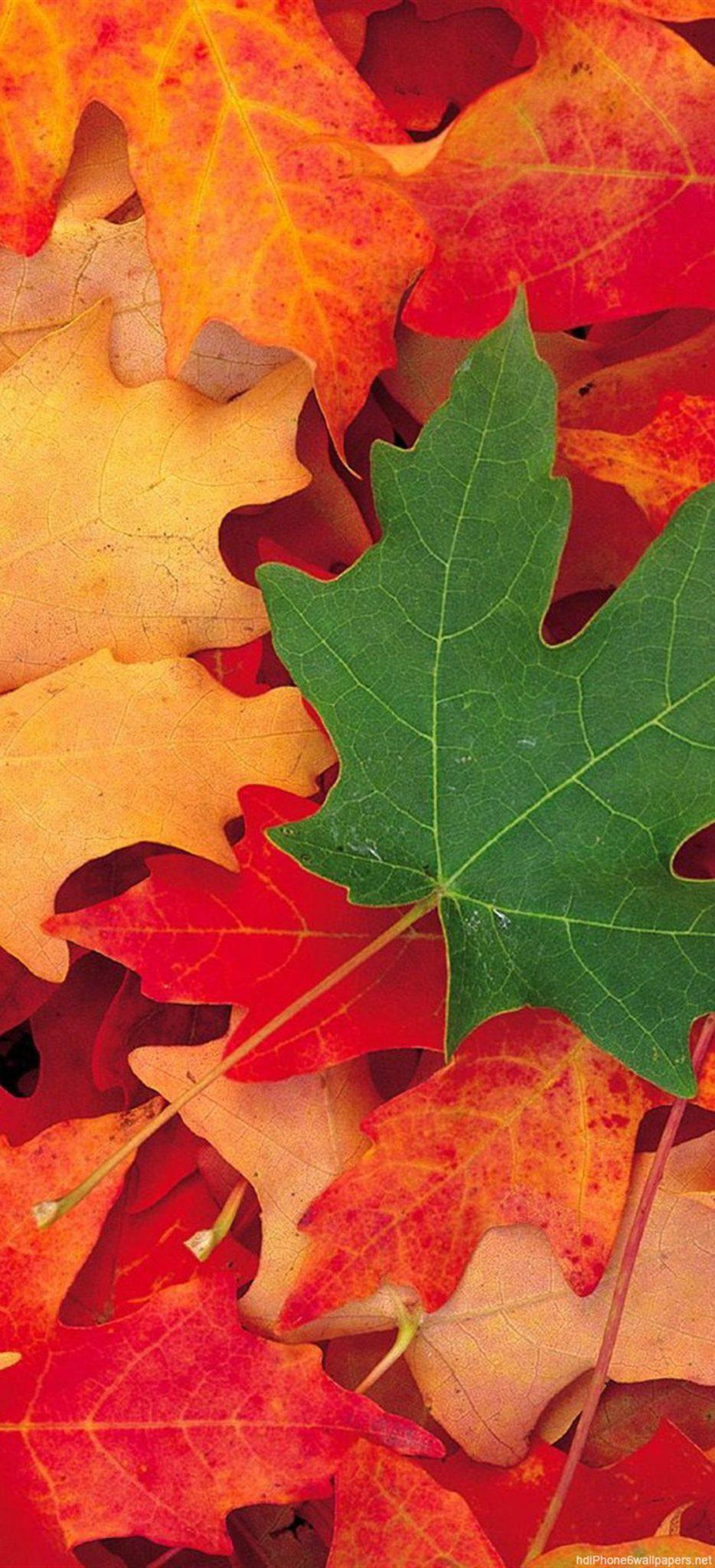 Happy Autumn Wallpapers - Top Free Happy Autumn Backgrounds ...