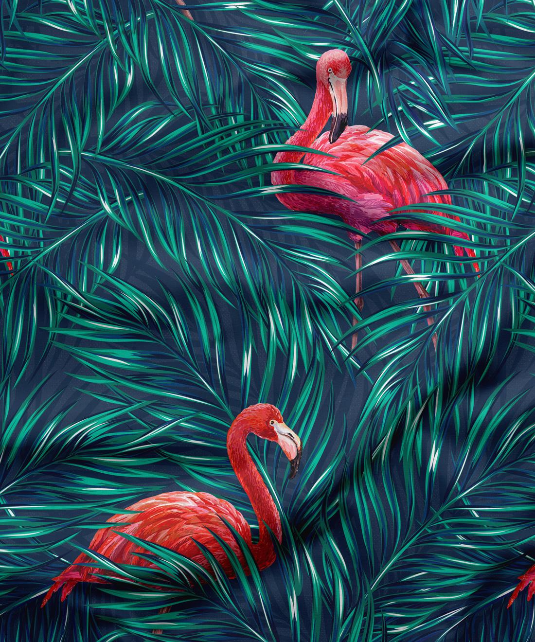 Tropical Flamingo Wallpapers - Top Free Tropical Flamingo Backgrounds ...